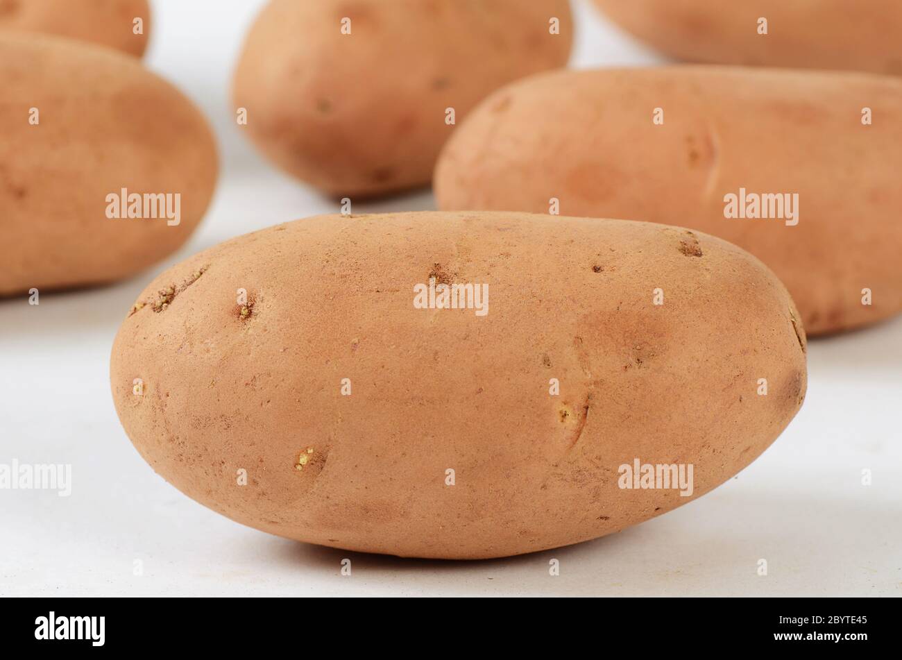 Fresh potato close up isolated on white background Stock Photo - Alamy