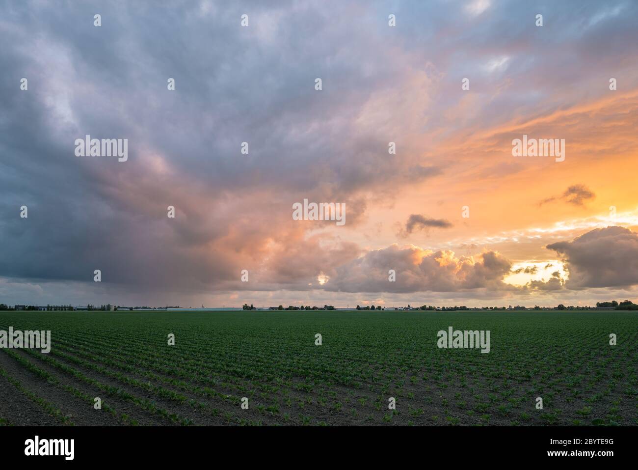Open plain hi-res stock photography and images - Alamy