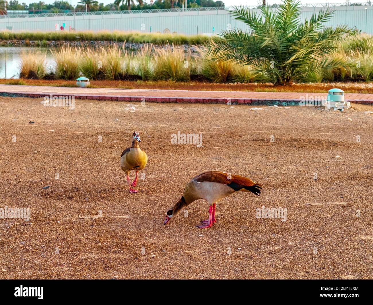 global environment during coronavirus - covid19 pandemic, clear weather ...