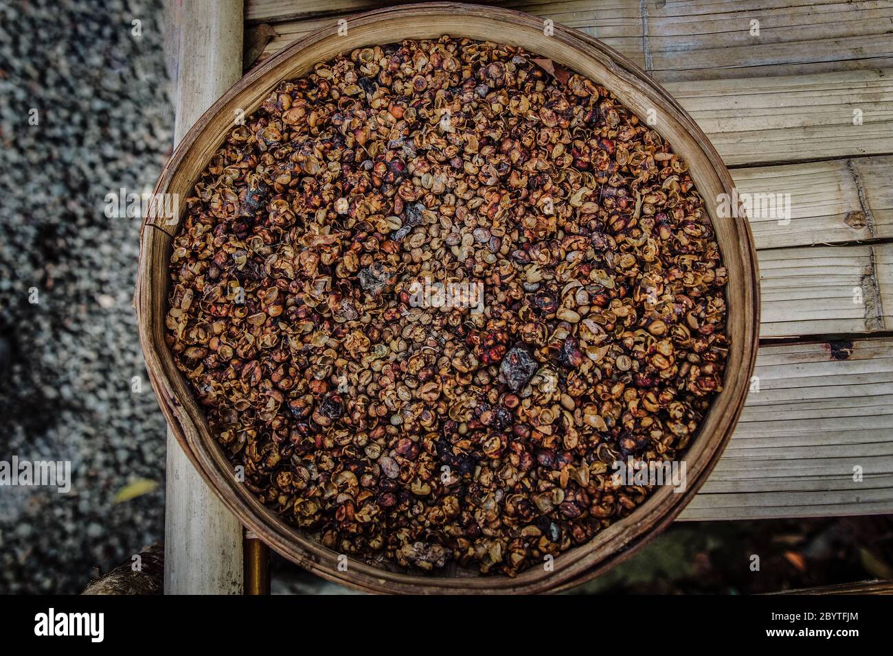 Close up shot of Kopi Luwak aka Civet Coffee beans; world's most ...