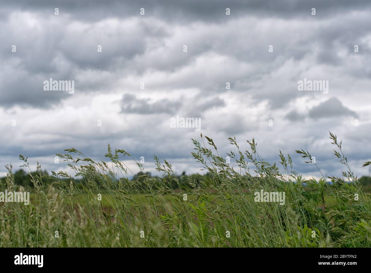 Dark clouds over field hi-res stock photography and images - Alamy