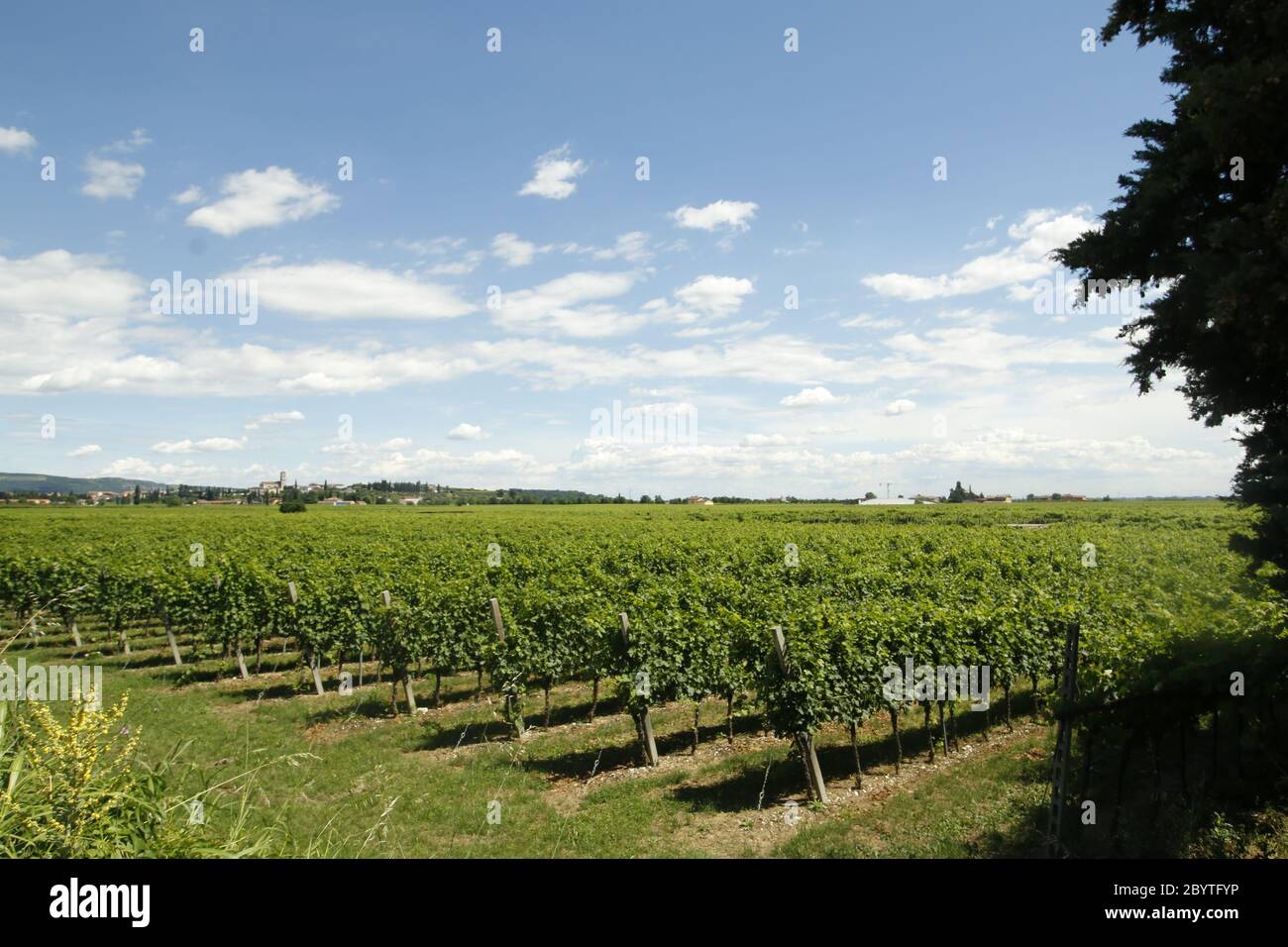 Rural landscapes hi-res stock photography and images - Alamy