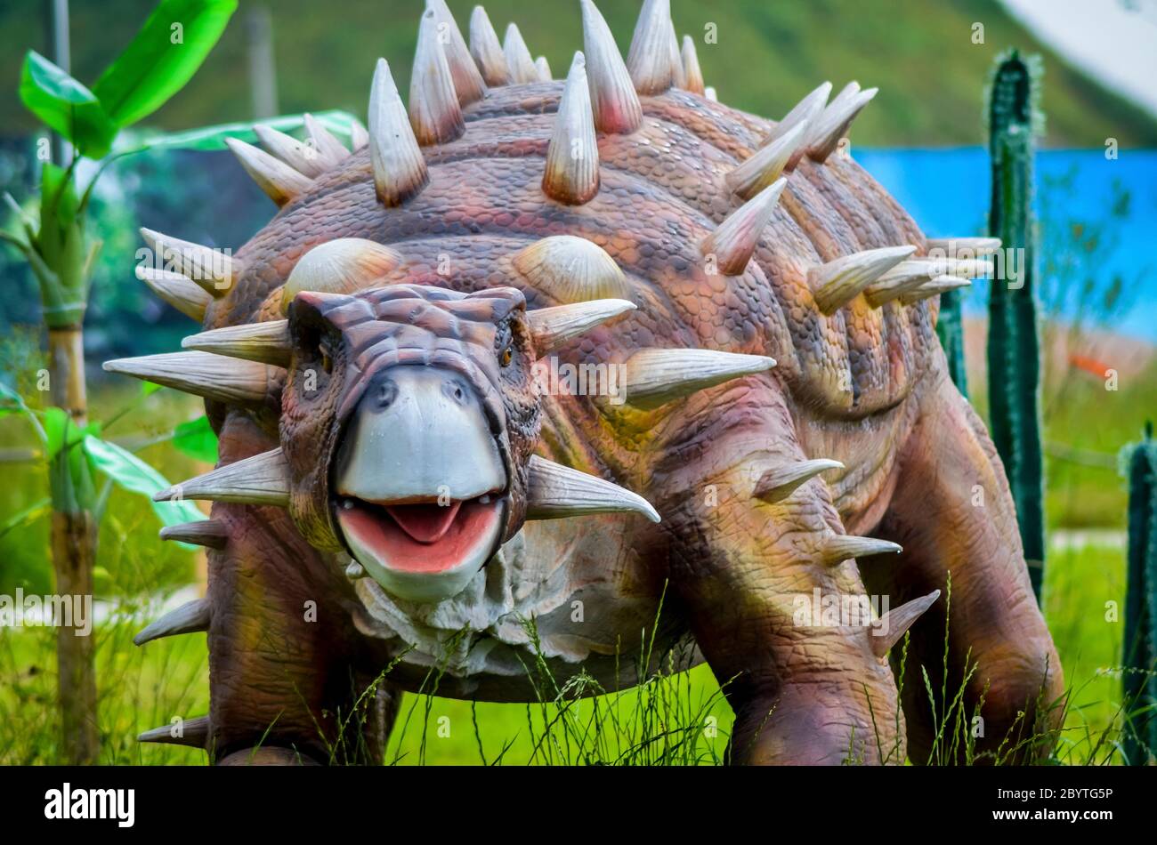 Saichania dinosaur front view Stock Photo - Alamy