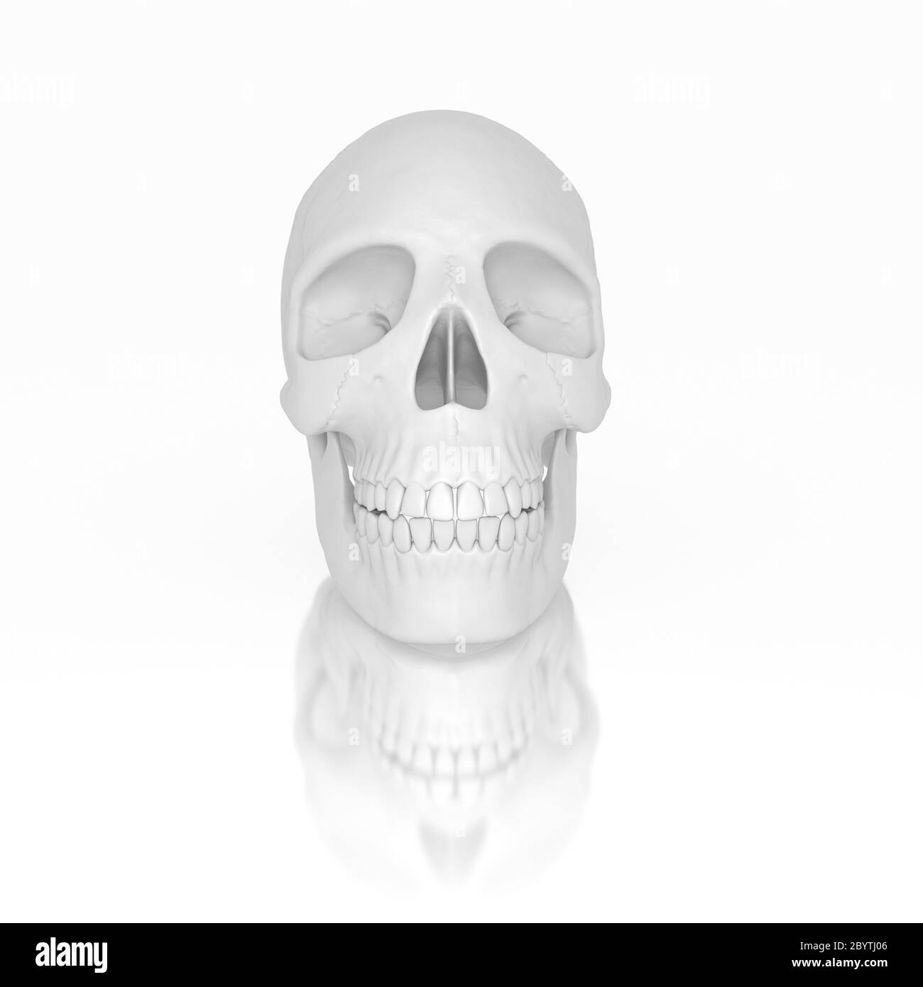 Symbol of mortality Black and White Stock Photos & Images - Alamy
