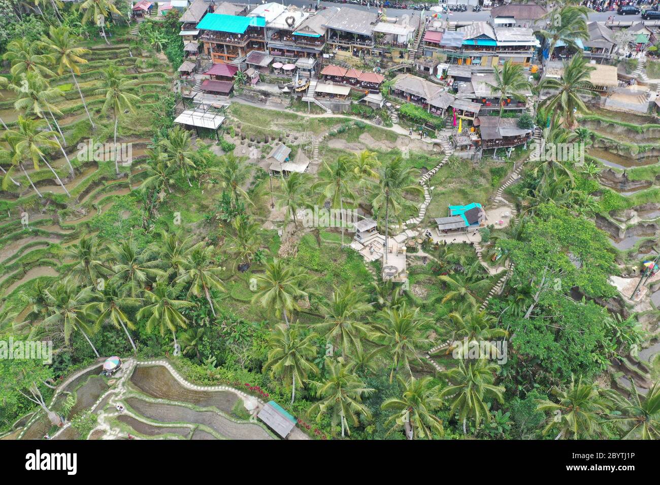 Rice terraces in Bali indonesia Stock Photo - Alamy