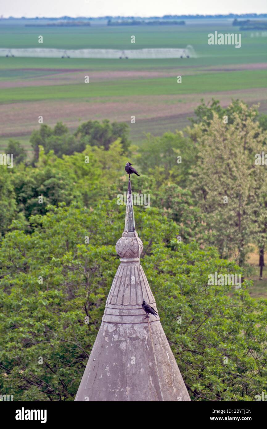 Crows on building roof hi-res stock photography and images - Alamy