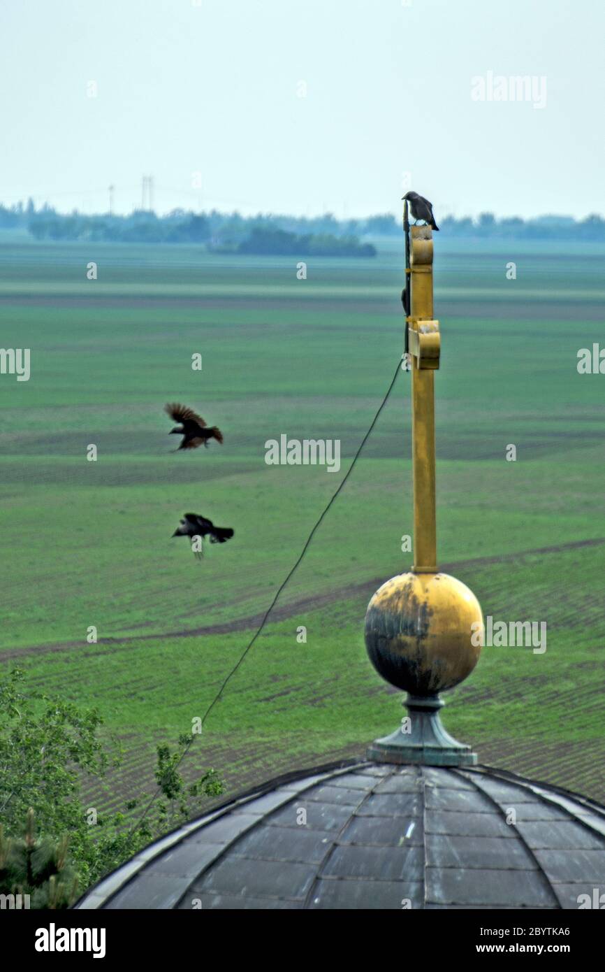 Tower crows hi-res stock photography and images - Alamy