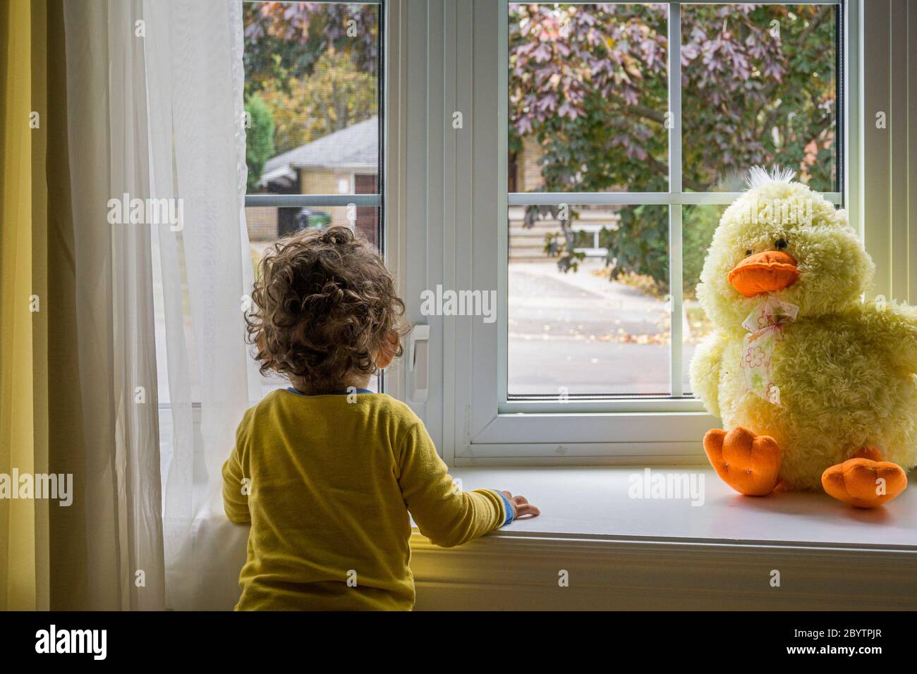 Little toddler looking outside through the window with his plush duck ...
