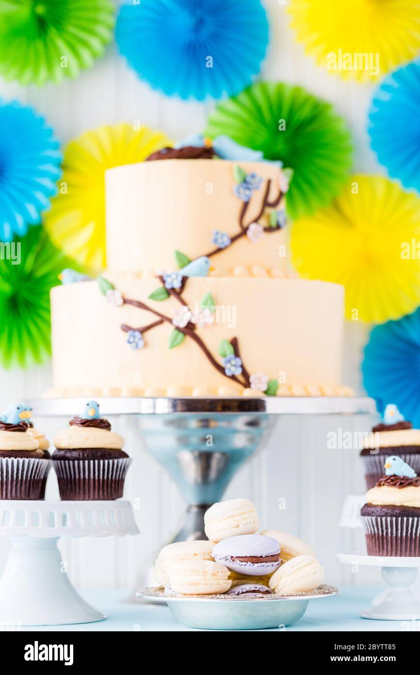 Spring macaron hi-res stock photography and images - Alamy