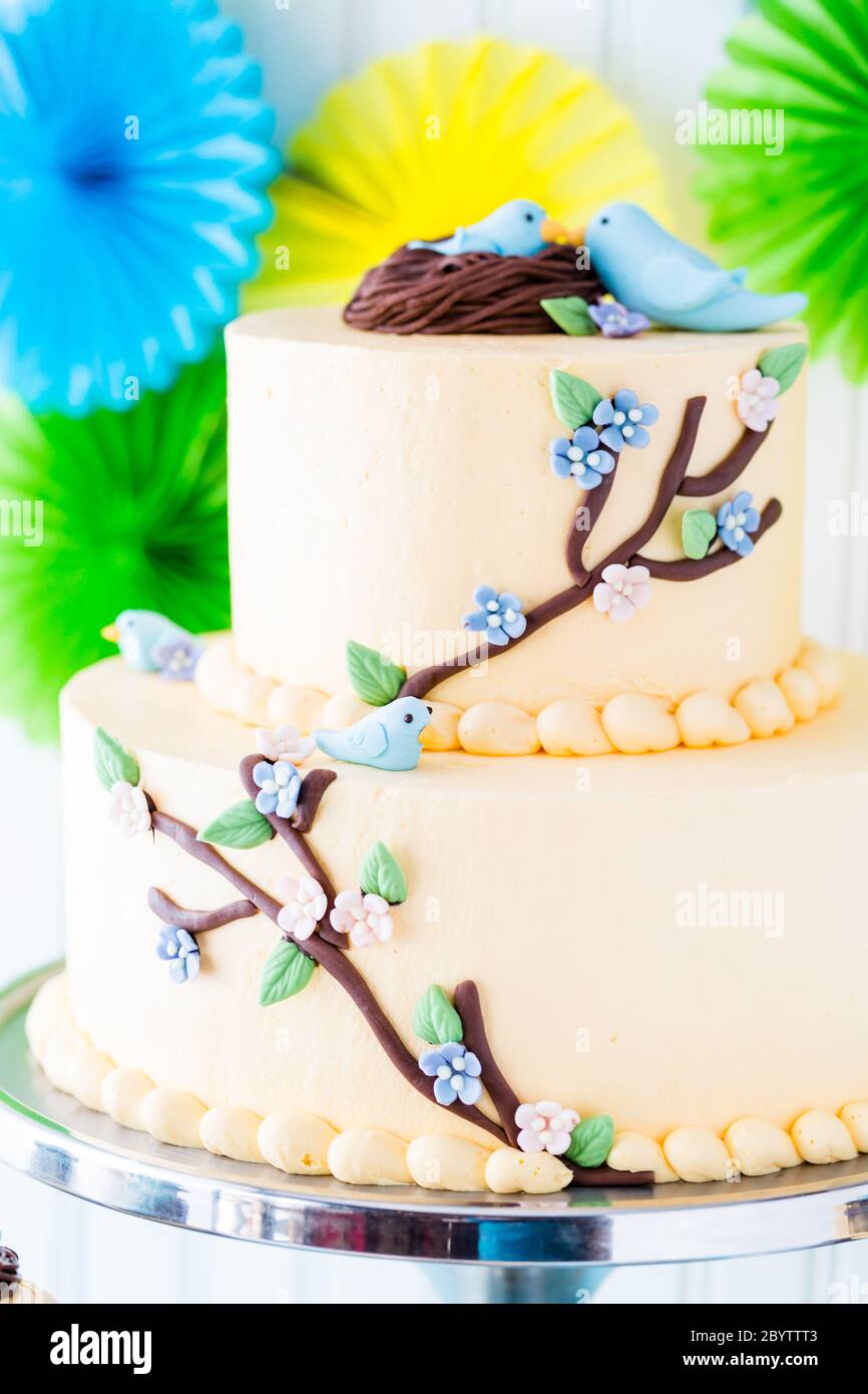 Spring cake hi-res stock photography and images - Alamy
