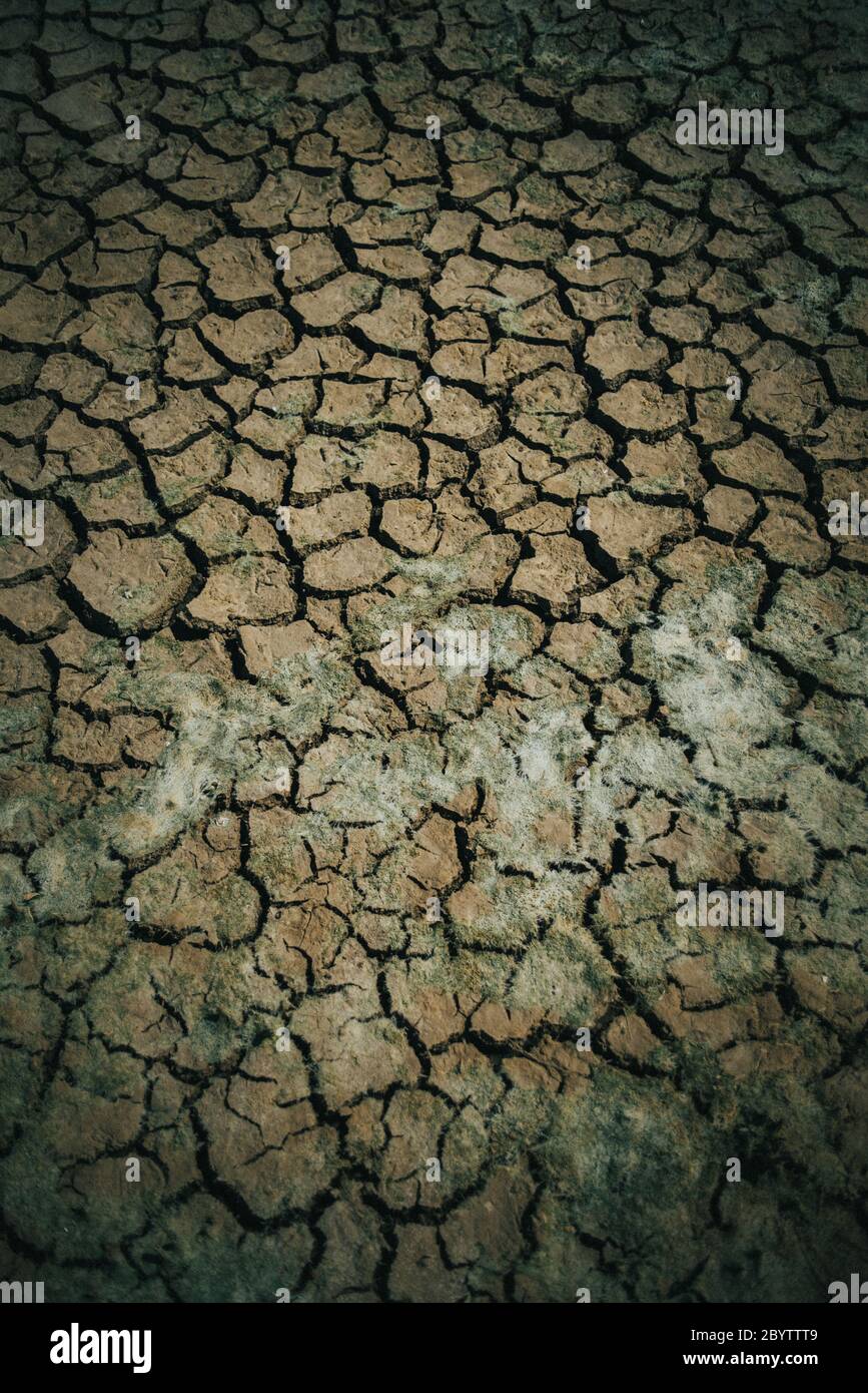 Natural Calamities Famine