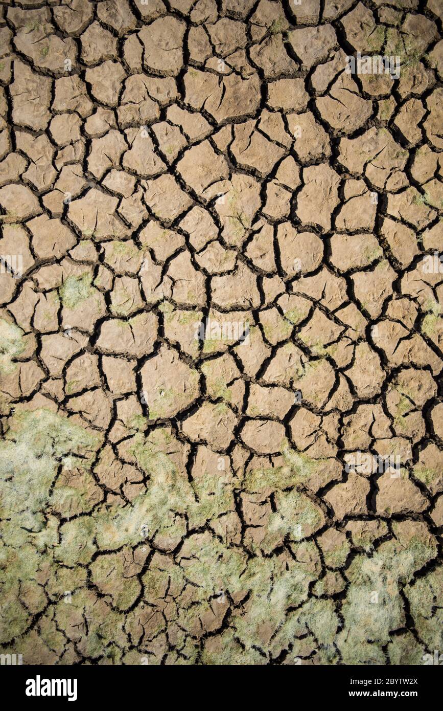 Natural Calamities Famine