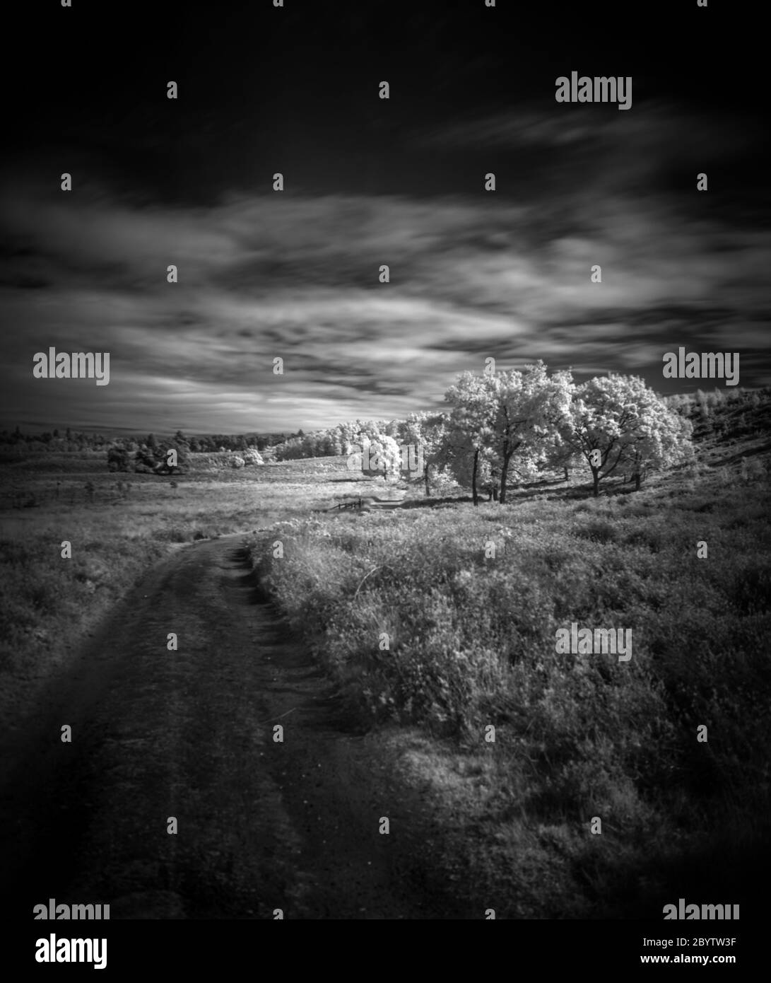 moody dark dramatic black and white landscape horror sky clouds Stock ...