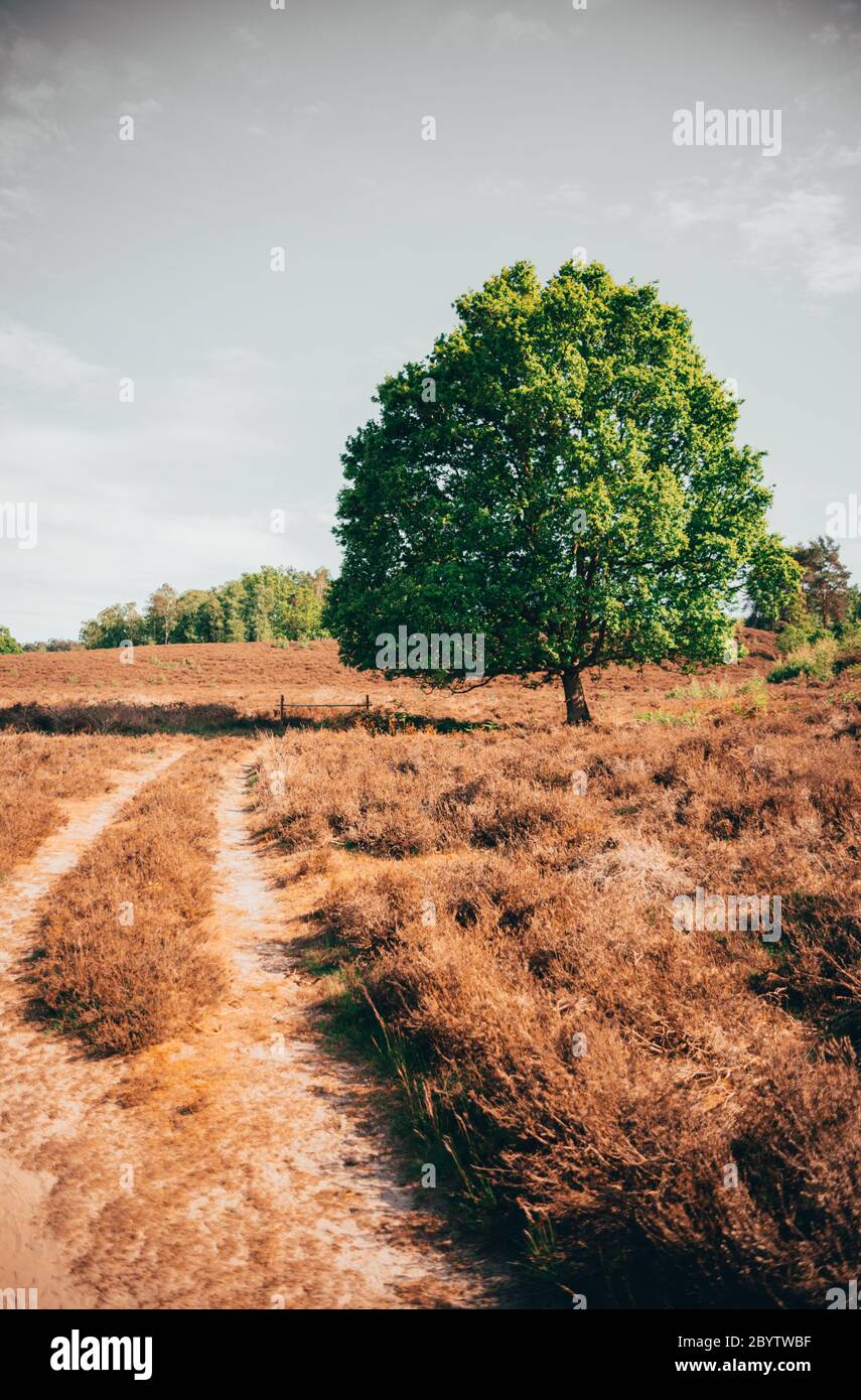 Saturation contrast hi-res stock photography and images - Alamy