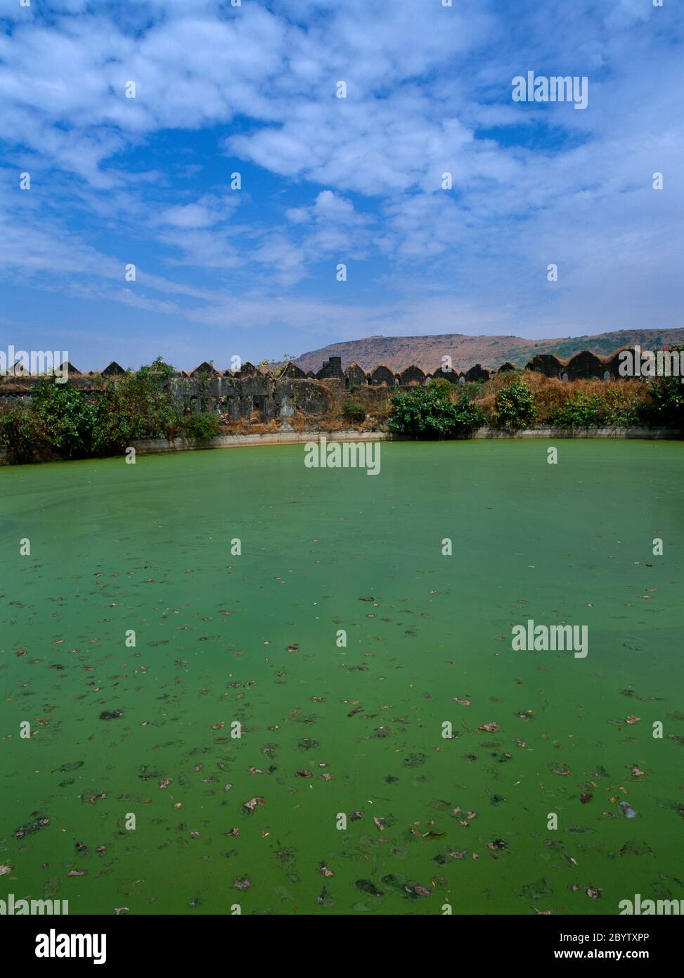Alibag India Kolaba Fort (Murud-Janjira) Interior Tank Stagnant Water ...