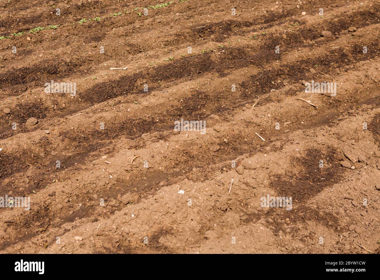 Ridge Planting System High Resolution Stock Photography and Images - Alamy