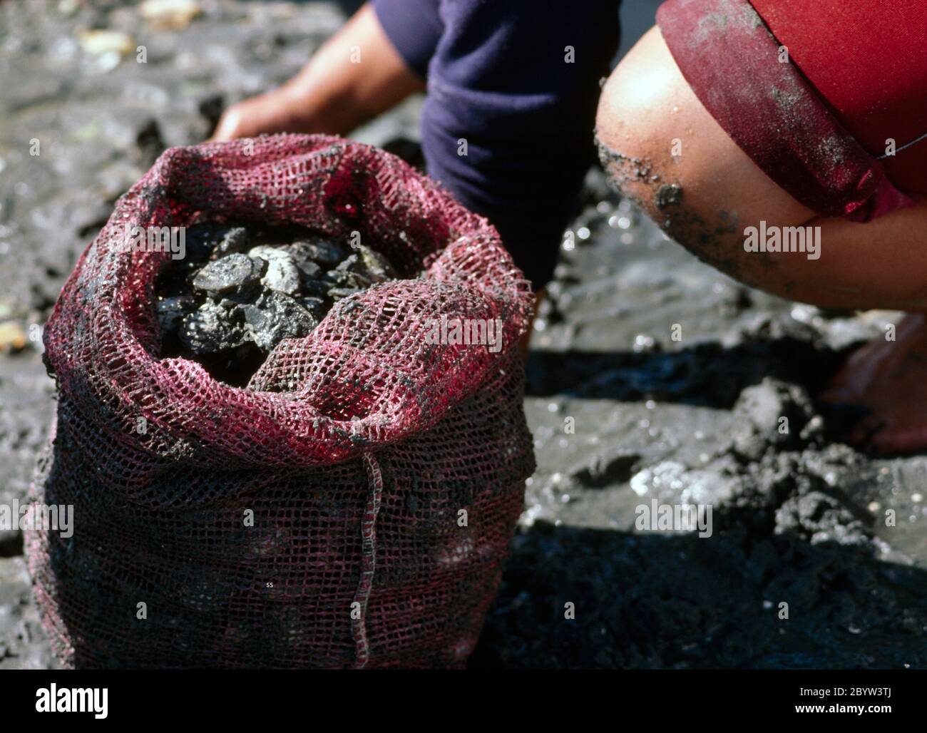 Pipi hi-res stock photography and images - Alamy