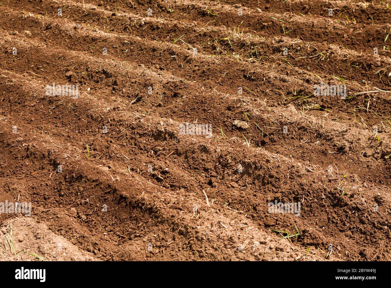 Ridge Planting System High Resolution Stock Photography and Images - Alamy