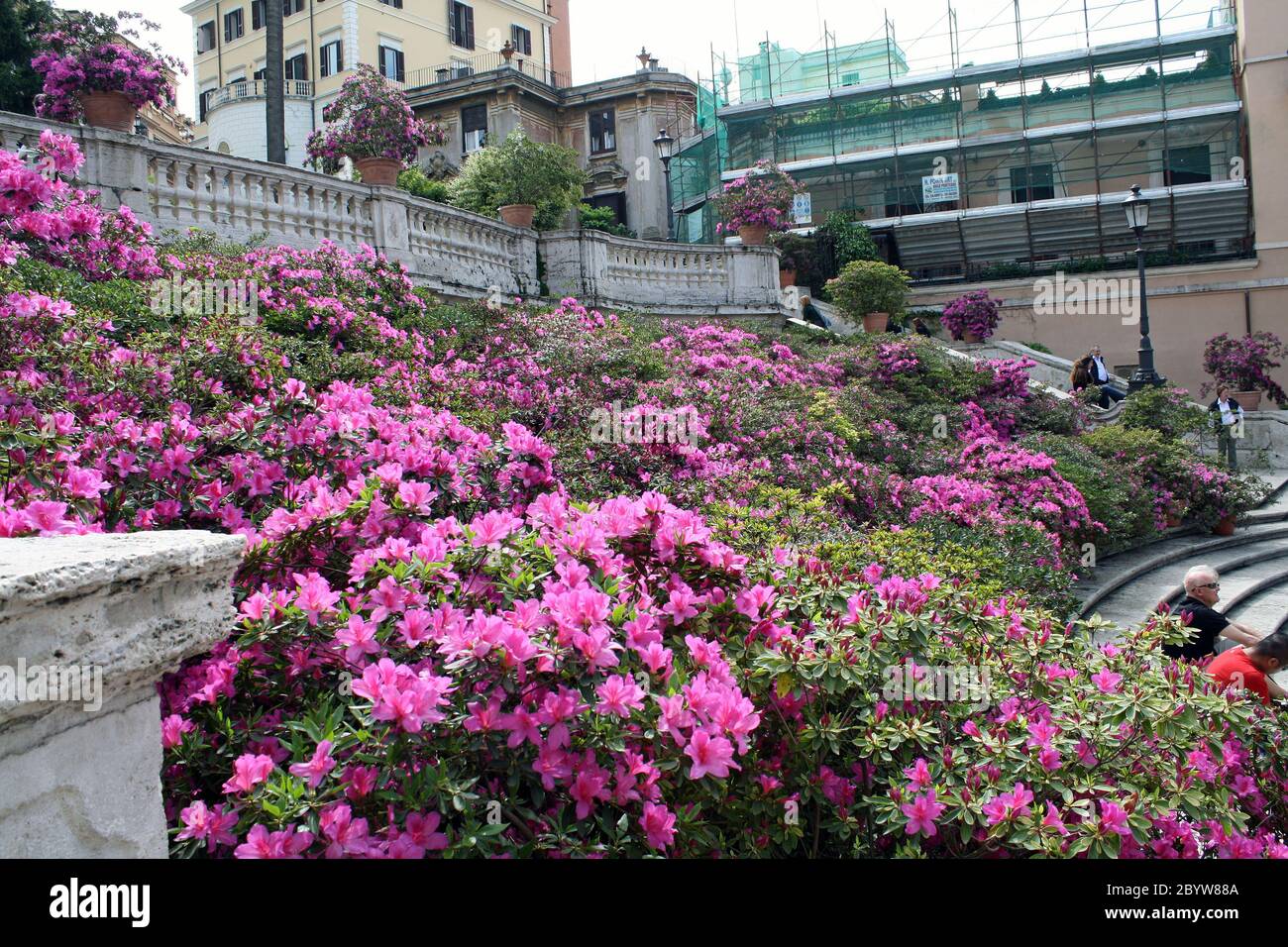 Rome Spanish Steps Flowers High Resolution Stock Photography and Images ...