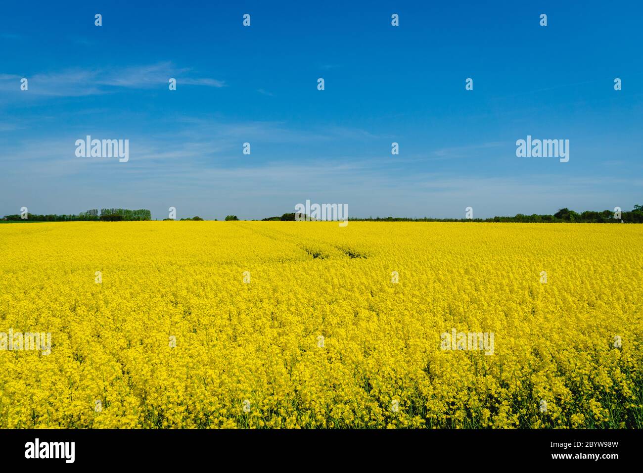 Cycling denmark landscape hi-res stock photography and images - Alamy