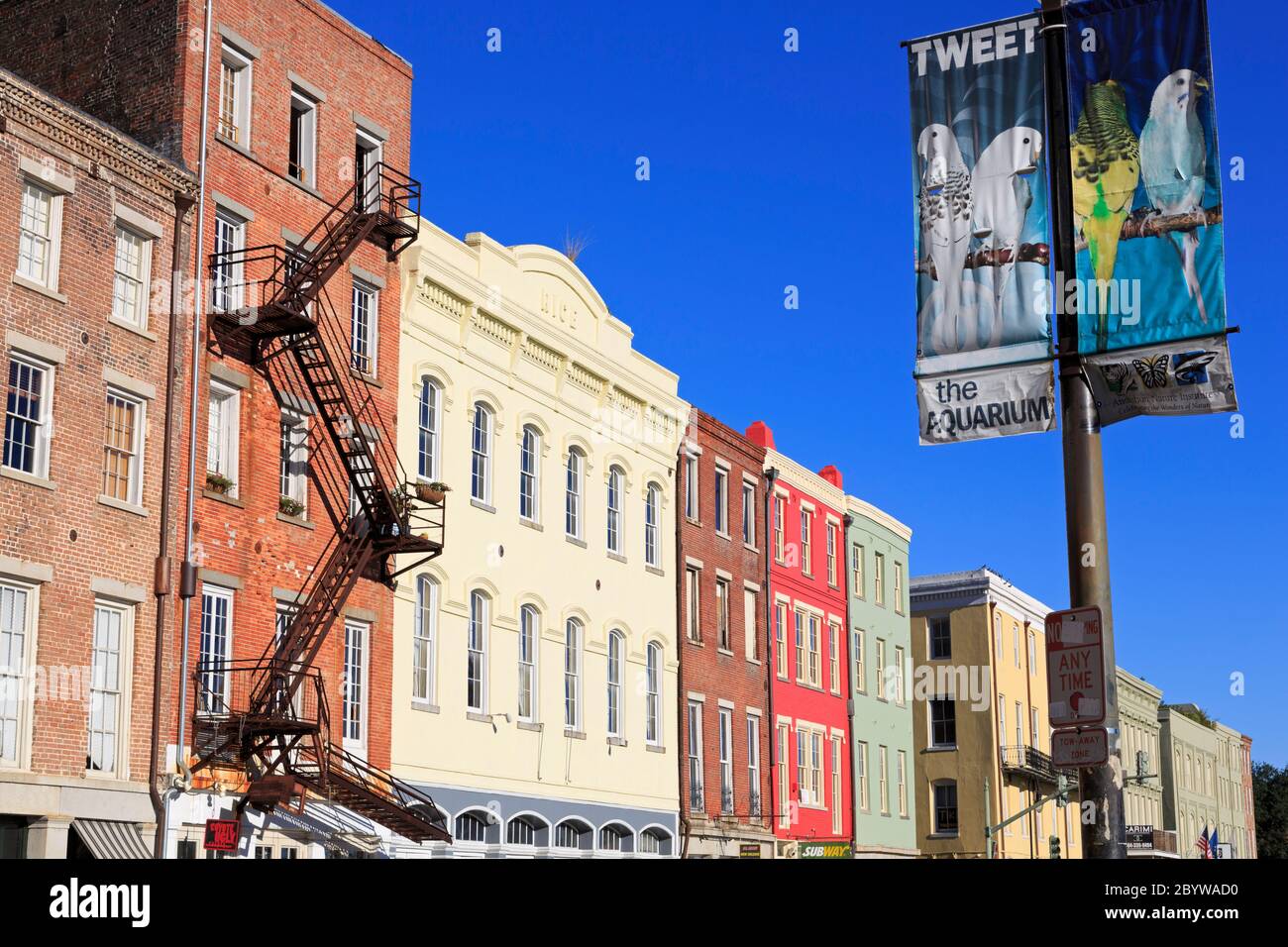 St. Peters Street, French Quarter, New Orleans, Louisiana, USA Stock ...