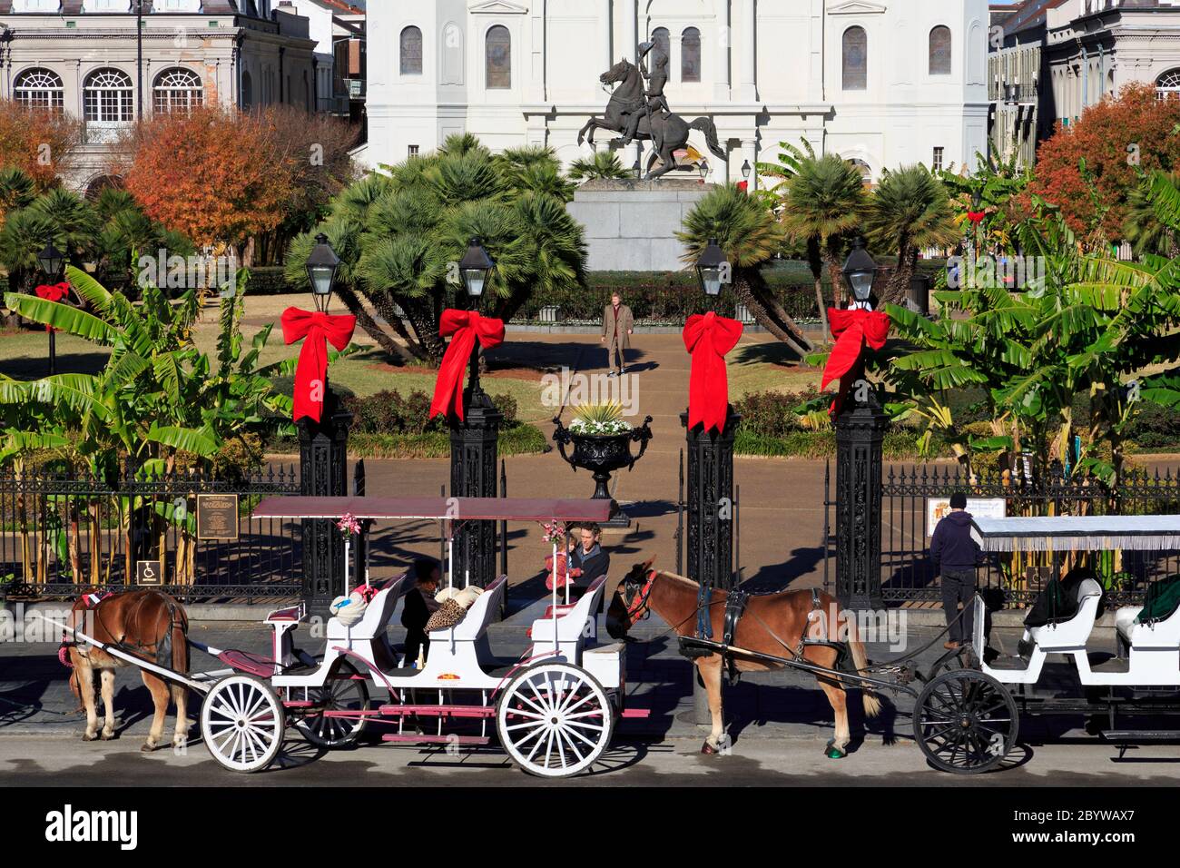 New orleans jackson square carriage hi-res stock photography and images ...