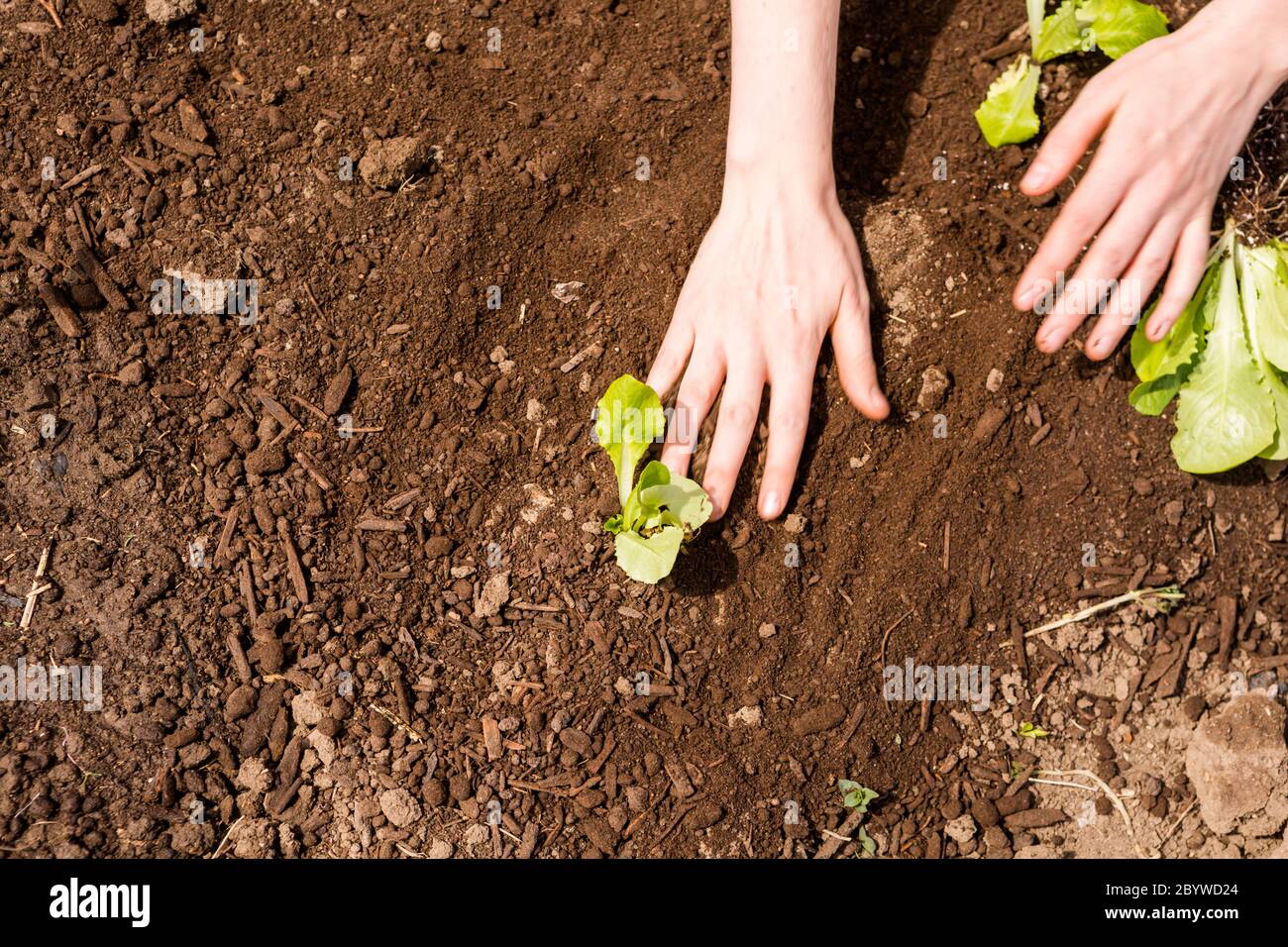 Local community people project hi-res stock photography and images - Alamy