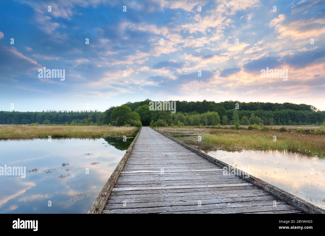 Swamp bridge hi-res stock photography and images - Alamy