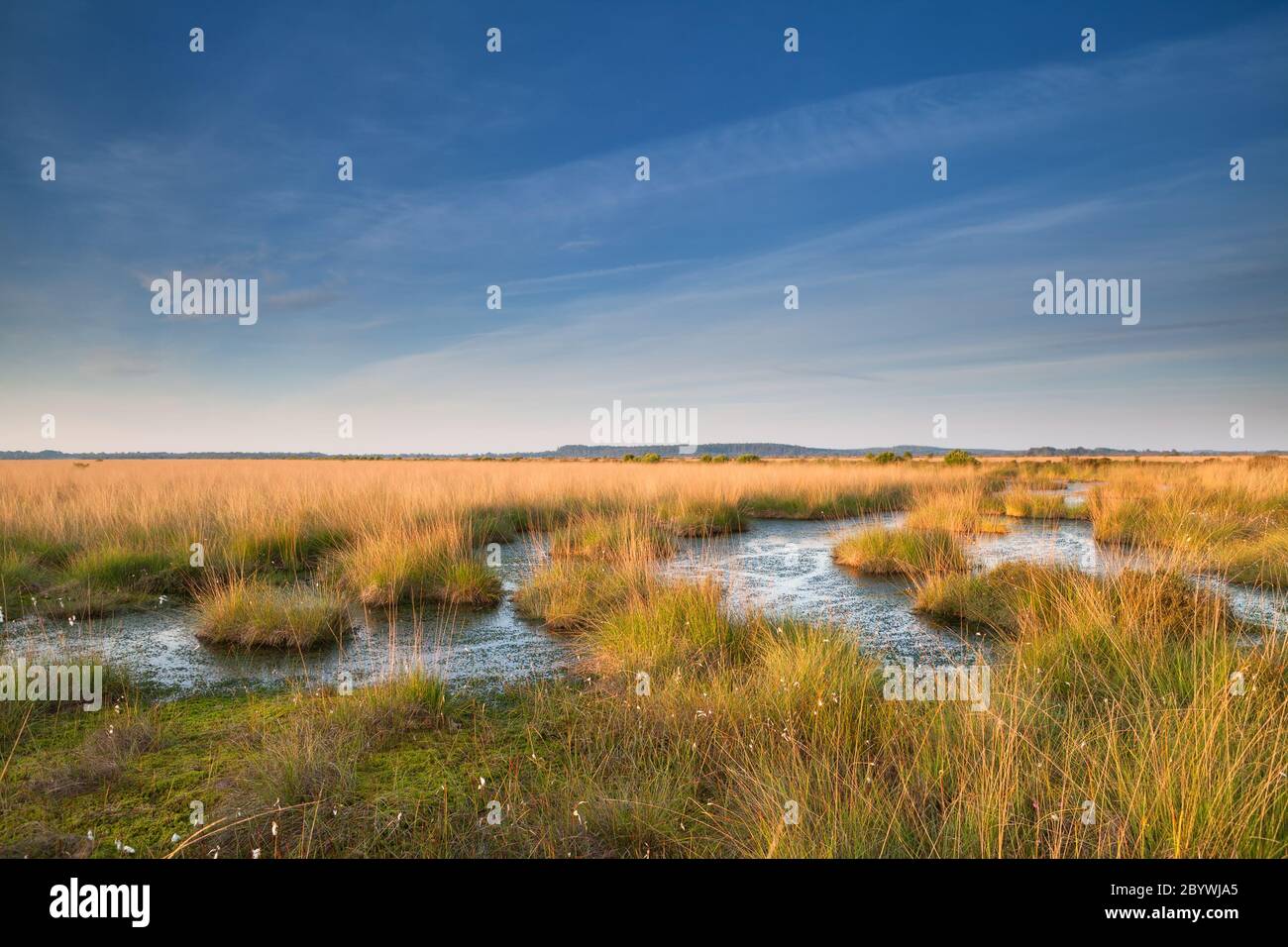 Gold sunshine hi-res stock photography and images - Alamy