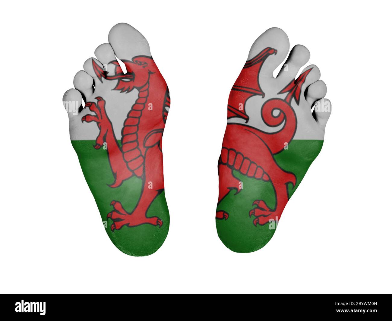 Morgue body parts hi-res stock photography and images - Alamy