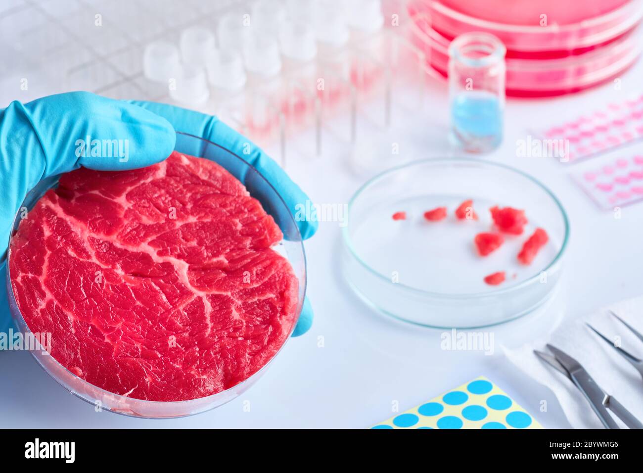 Meat sample in open disposable plastic cell culture dish in modern ...
