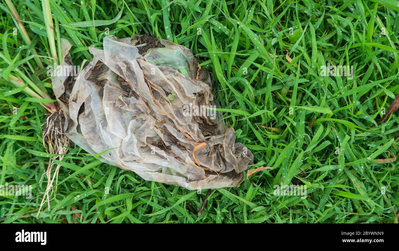 plastic waste on green grass, one of the environmental pollutants that ...