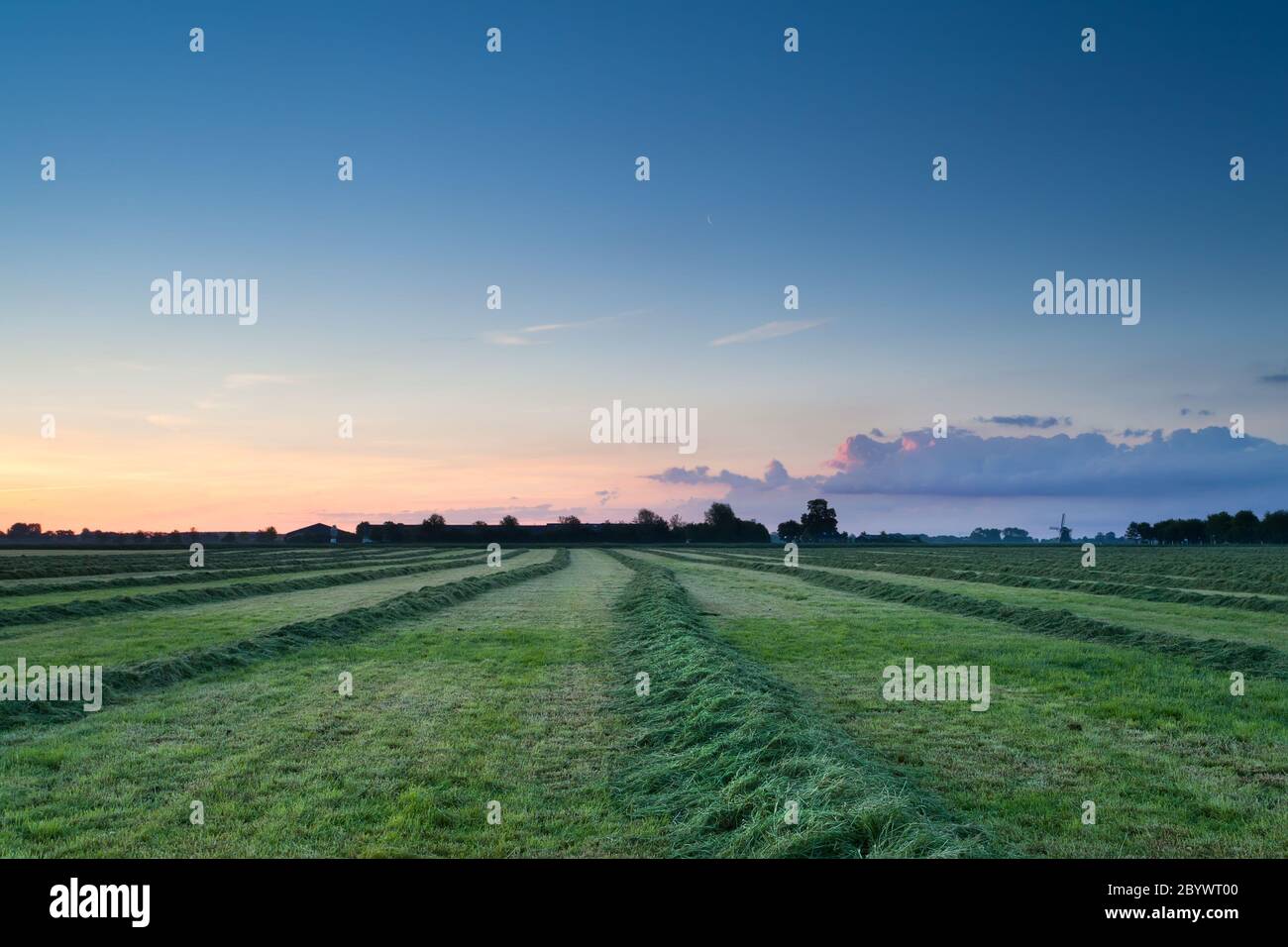 summer sunrise over fresh hay on pasture Stock Photo - Alamy