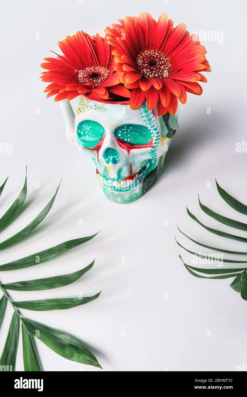 skull with coral color gerbera daisy flowers and palm leaves on white ...