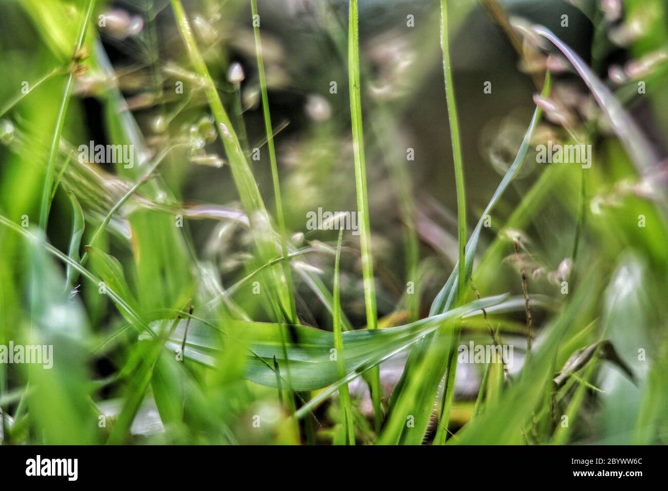Appreciate the nature hi-res stock photography and images - Alamy