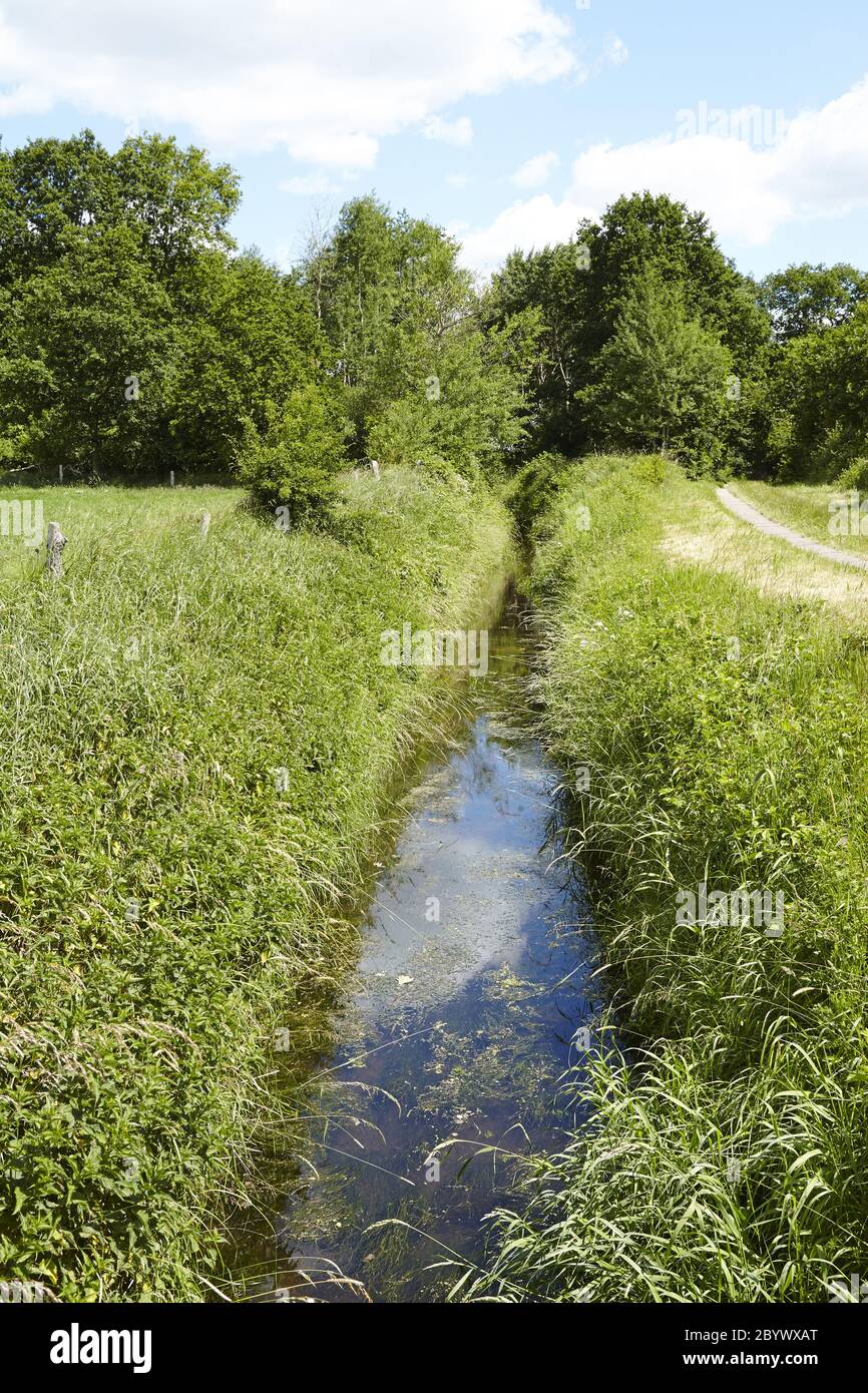 Landscape with moat, trees and blue sky Stock Photo - Alamy