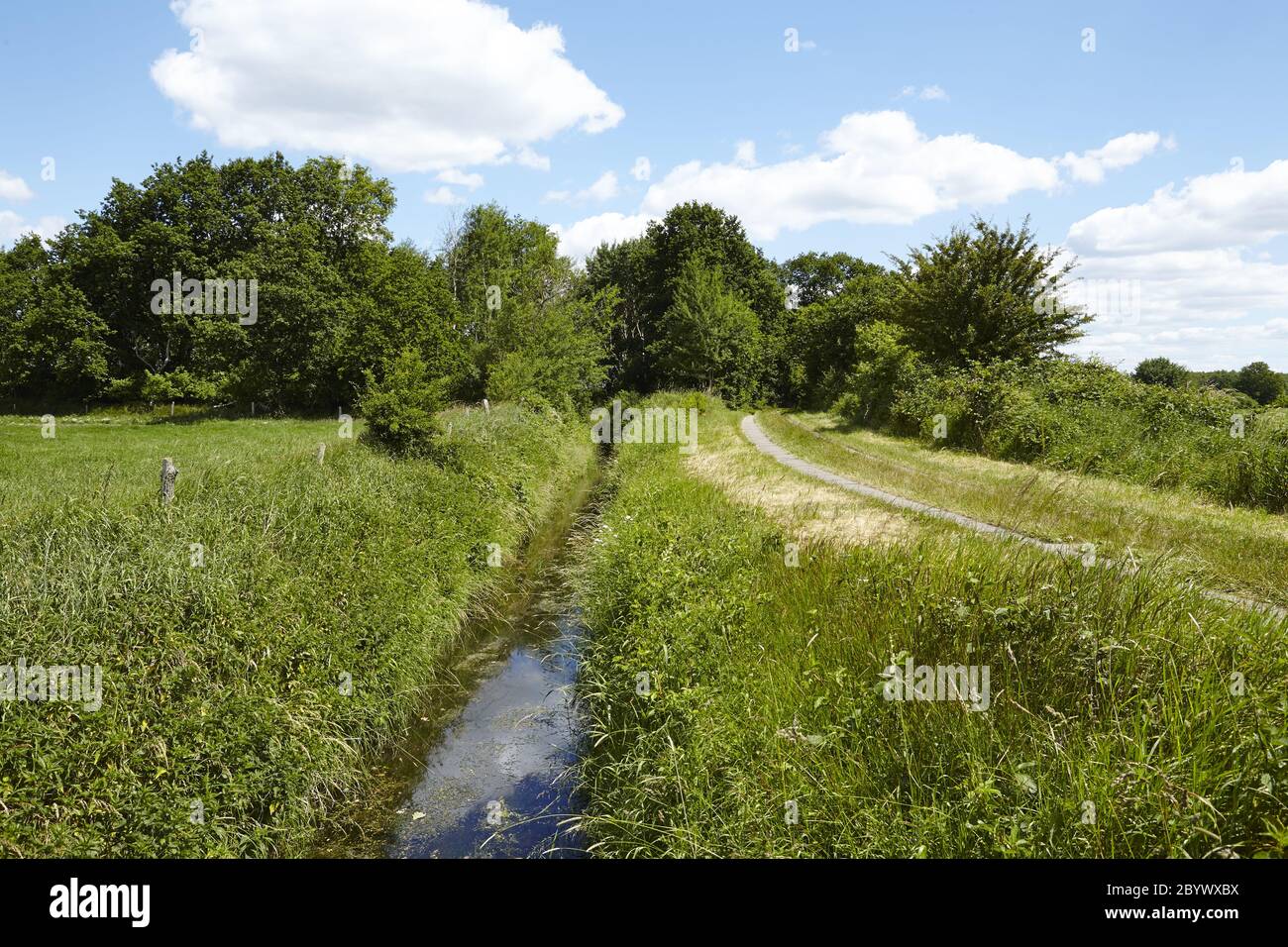 Landscape with moat, trees and blue sky Stock Photo - Alamy
