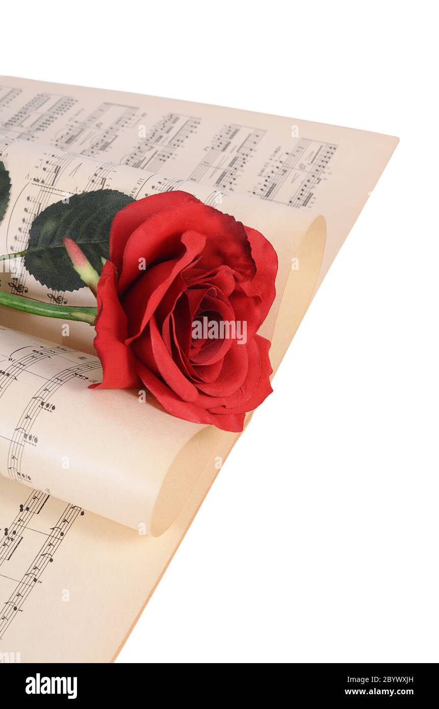 Pink roses music notes hi-res stock photography and images - Alamy