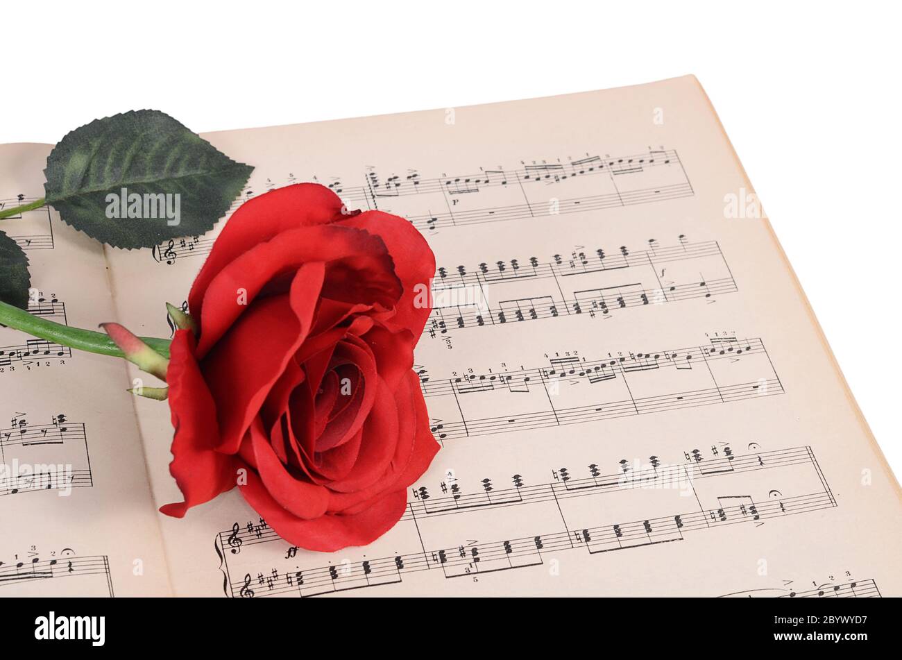 The rose on notebooks with notes Stock Photo - Alamy