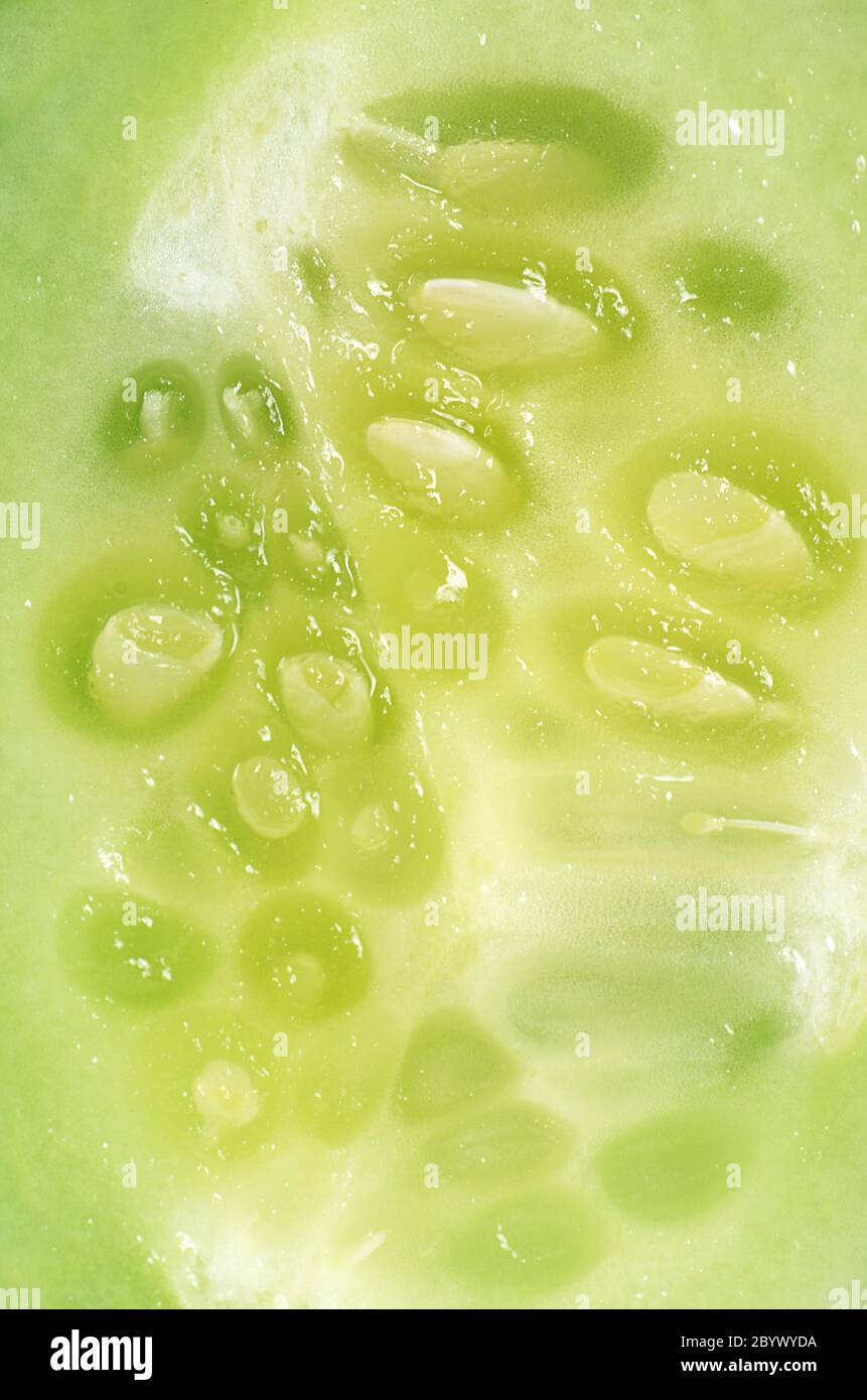 Fresh cucumber close up Stock Photo - Alamy