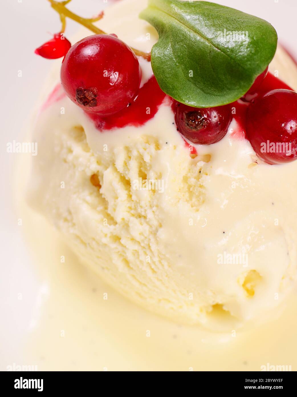 Vanilla ice cream with currant Stock Photo - Alamy