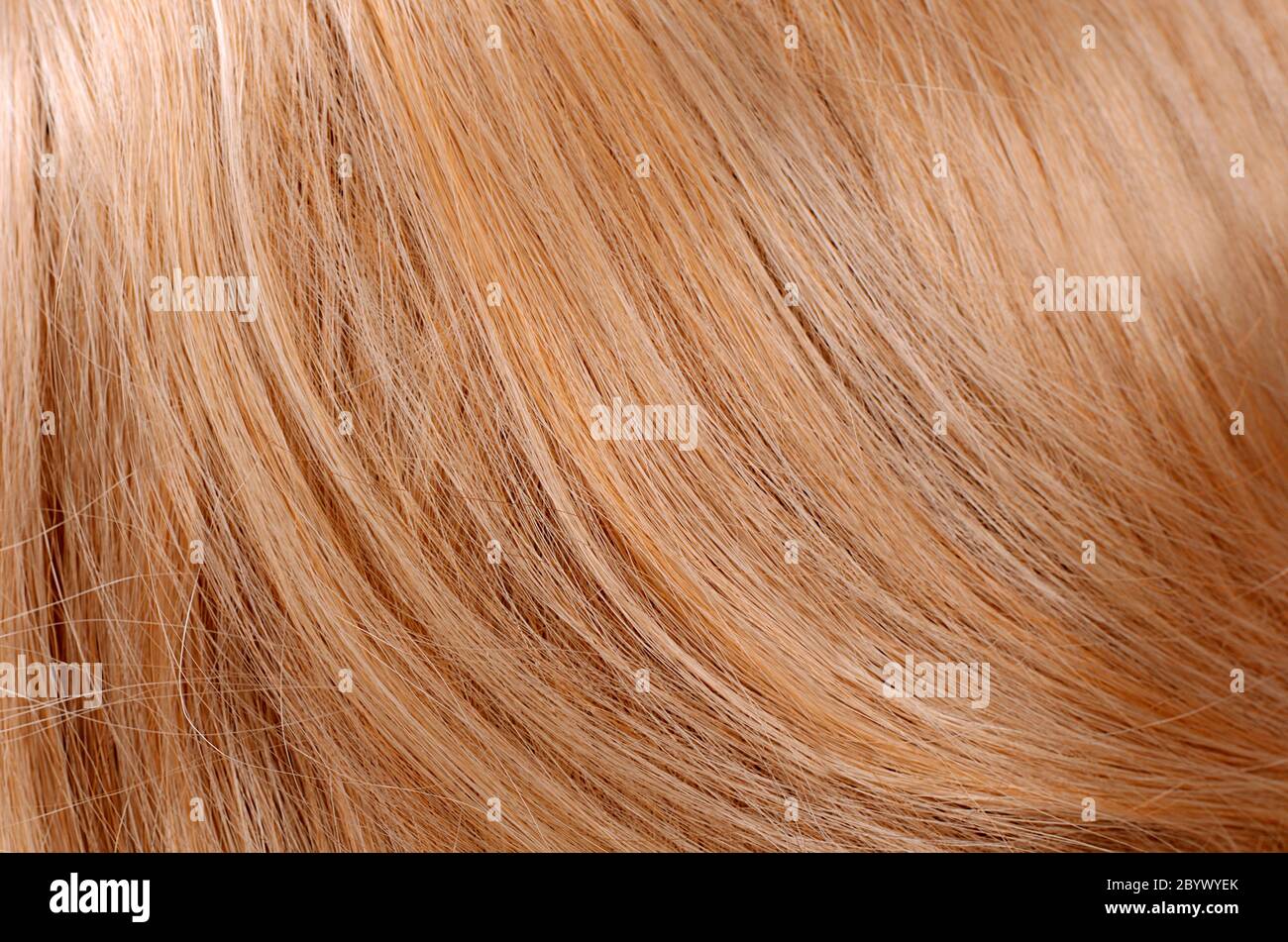 Light hair hi-res stock photography and images - Alamy