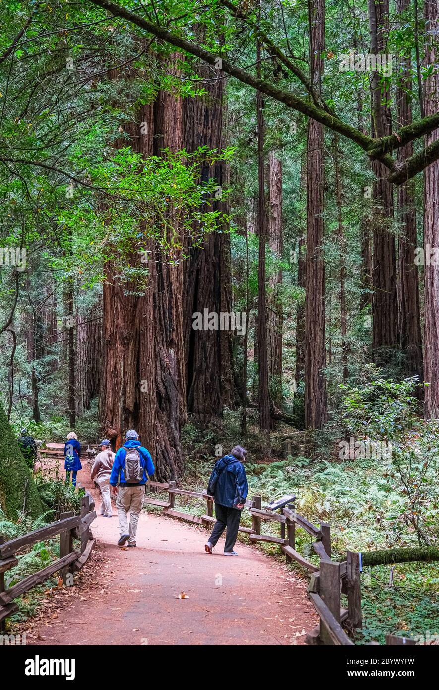 Among forestry hi-res stock photography and images - Alamy
