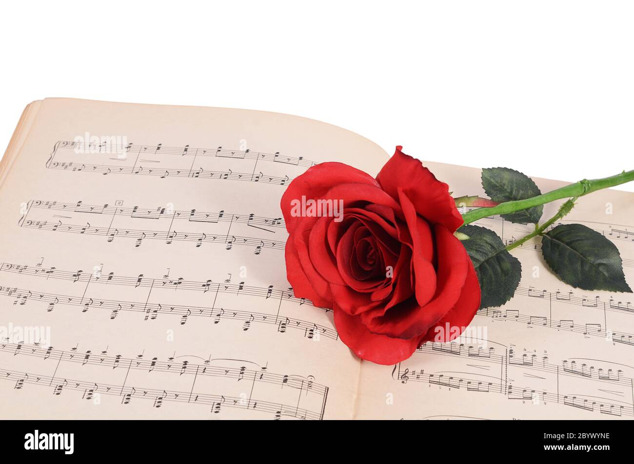 The rose on notebooks with notes Stock Photo - Alamy