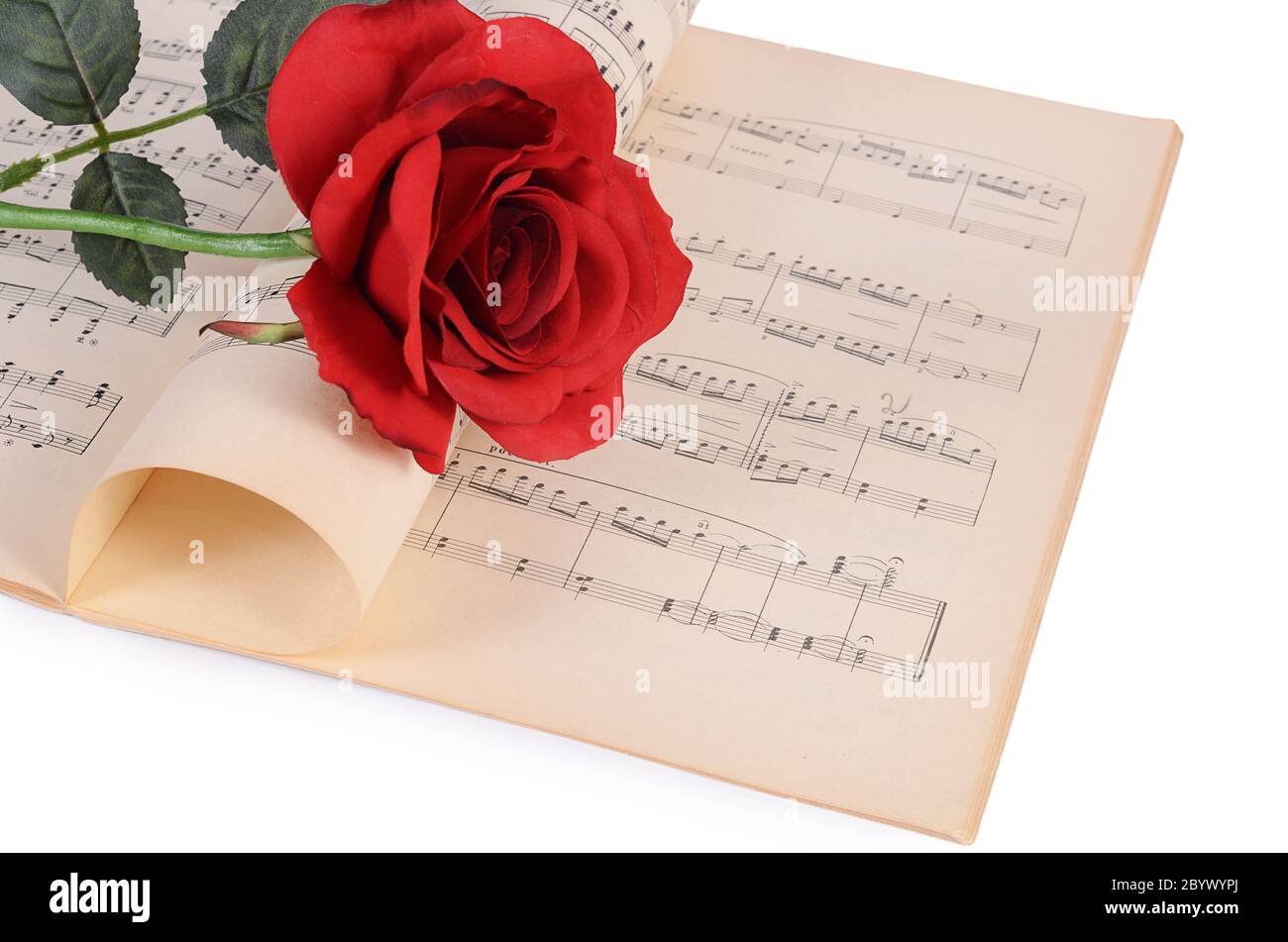 The rose on notebooks with notes Stock Photo - Alamy