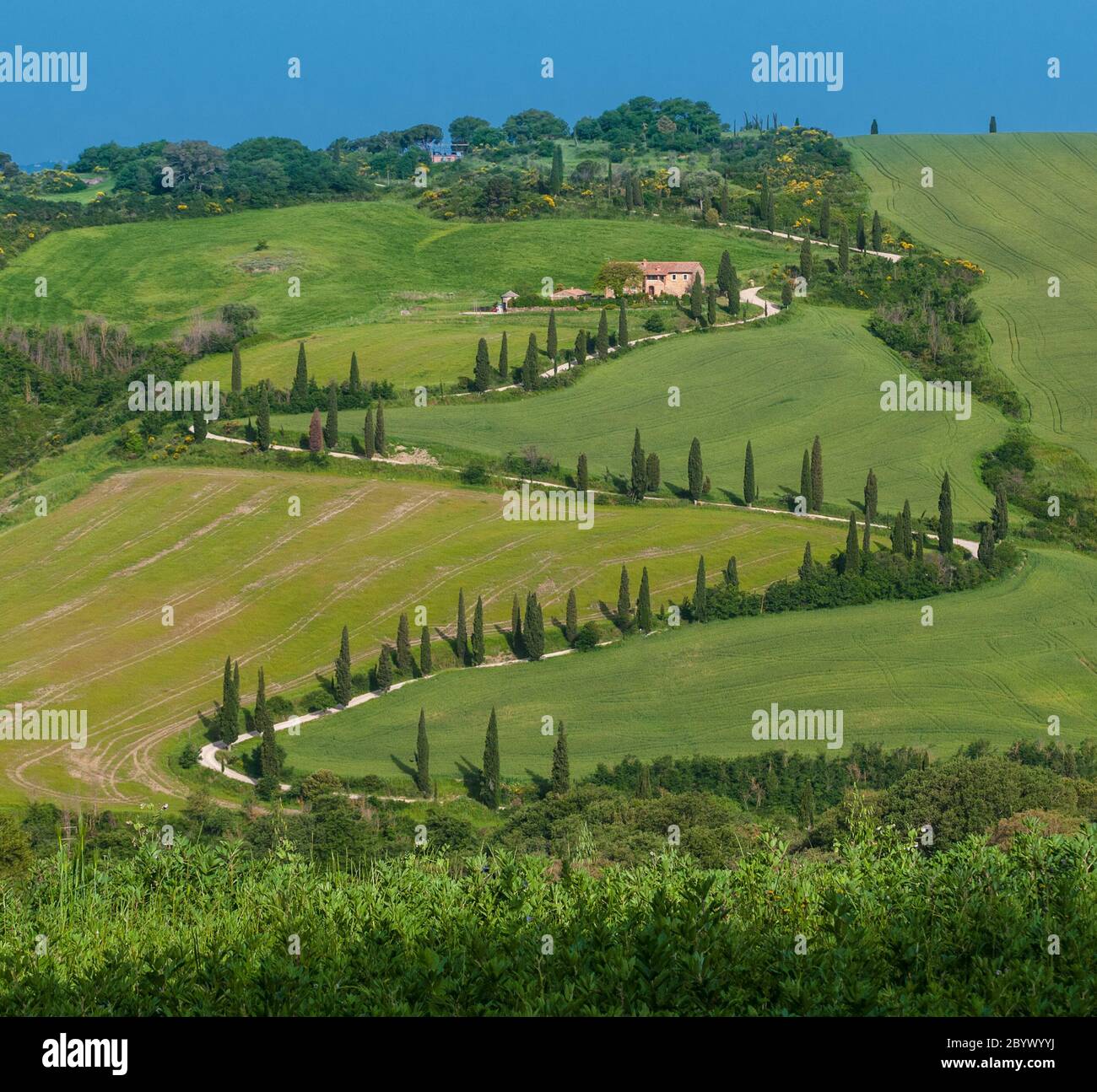 typical tuscan landscape Stock Photo - Alamy