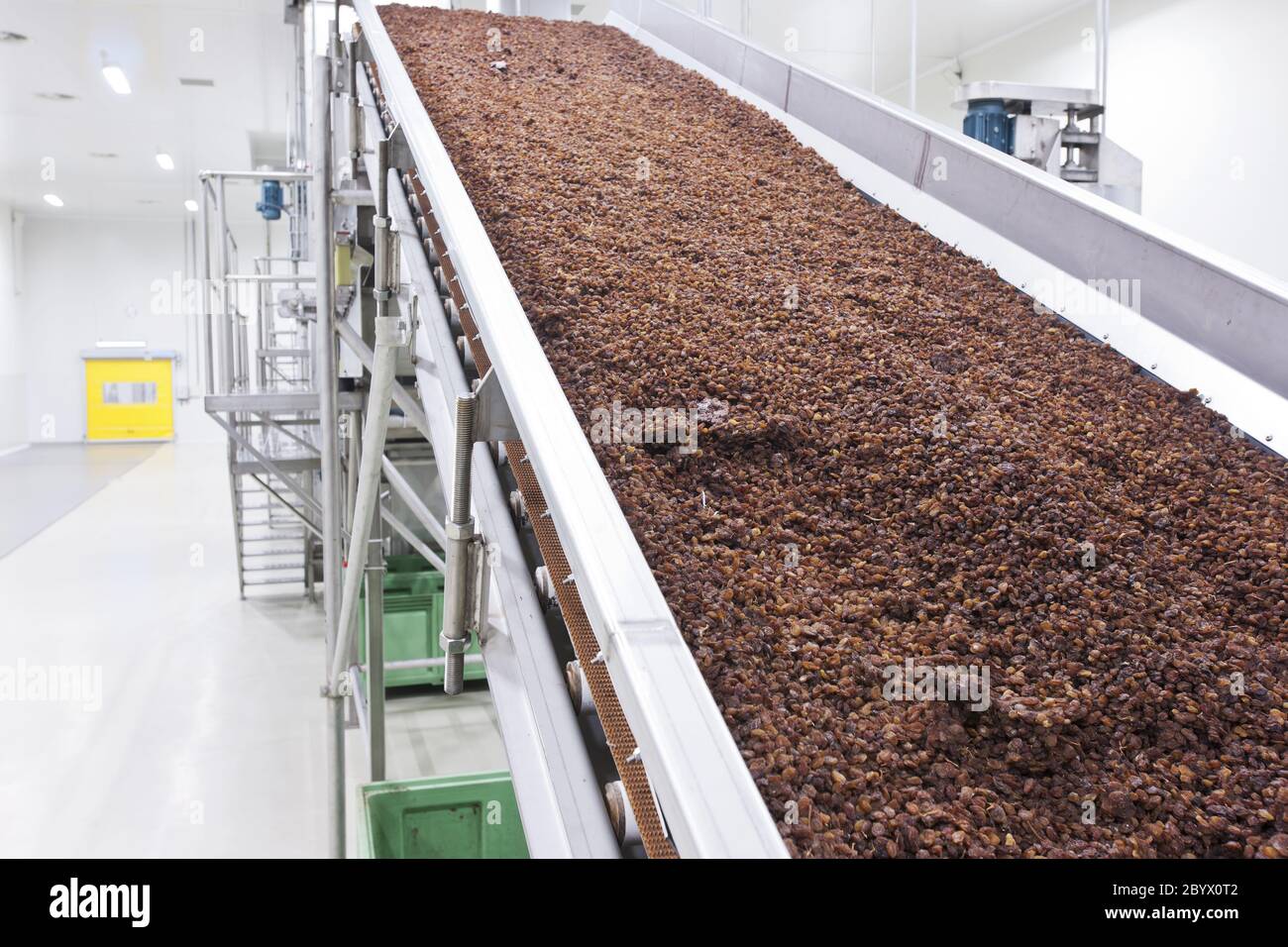 raisins in raisin production factory packaging Stock Photo - Alamy