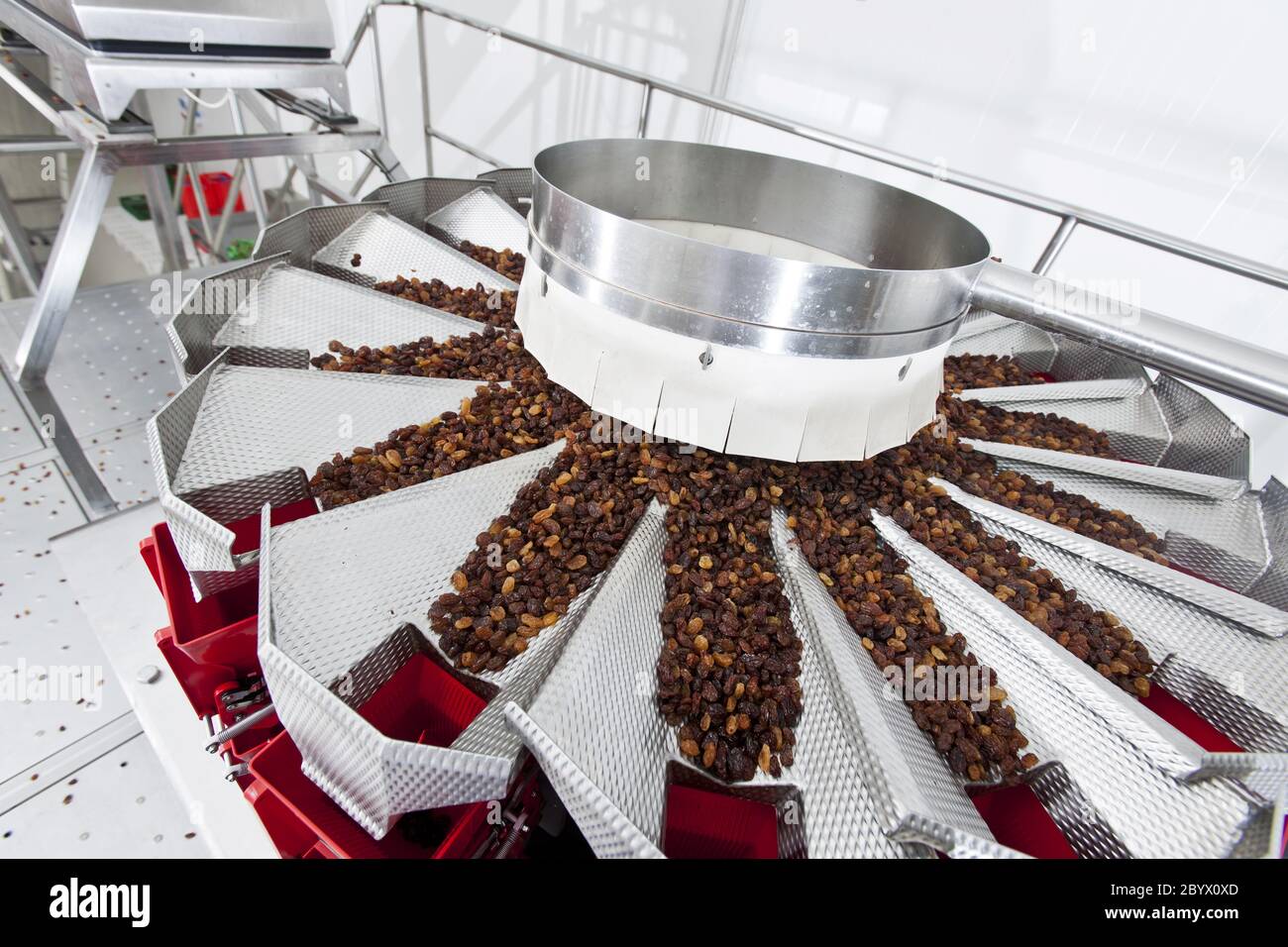 raisins in raisin production factory packaging Stock Photo - Alamy