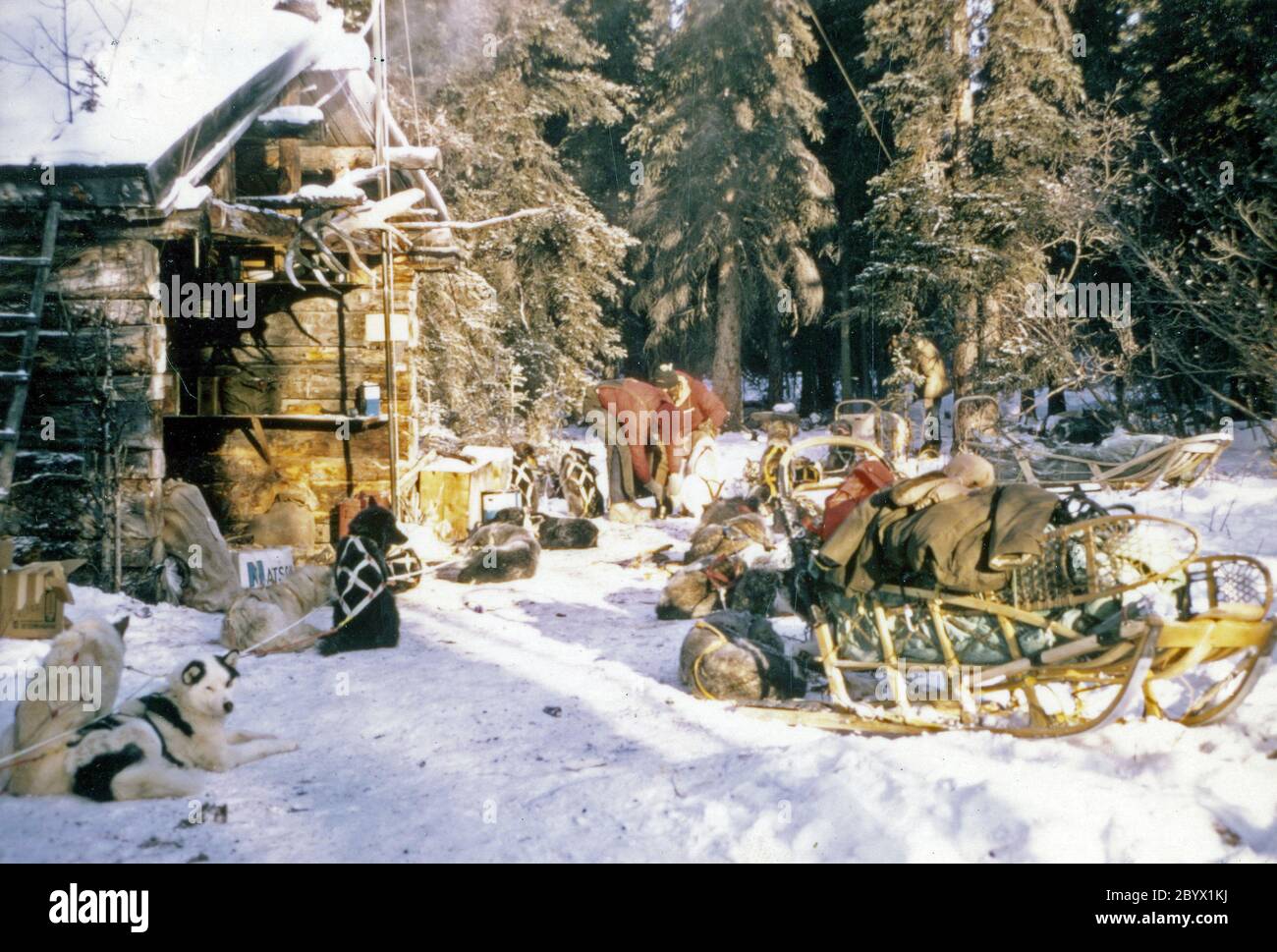 Iditarod roadhouse hi-res stock photography and images - Alamy