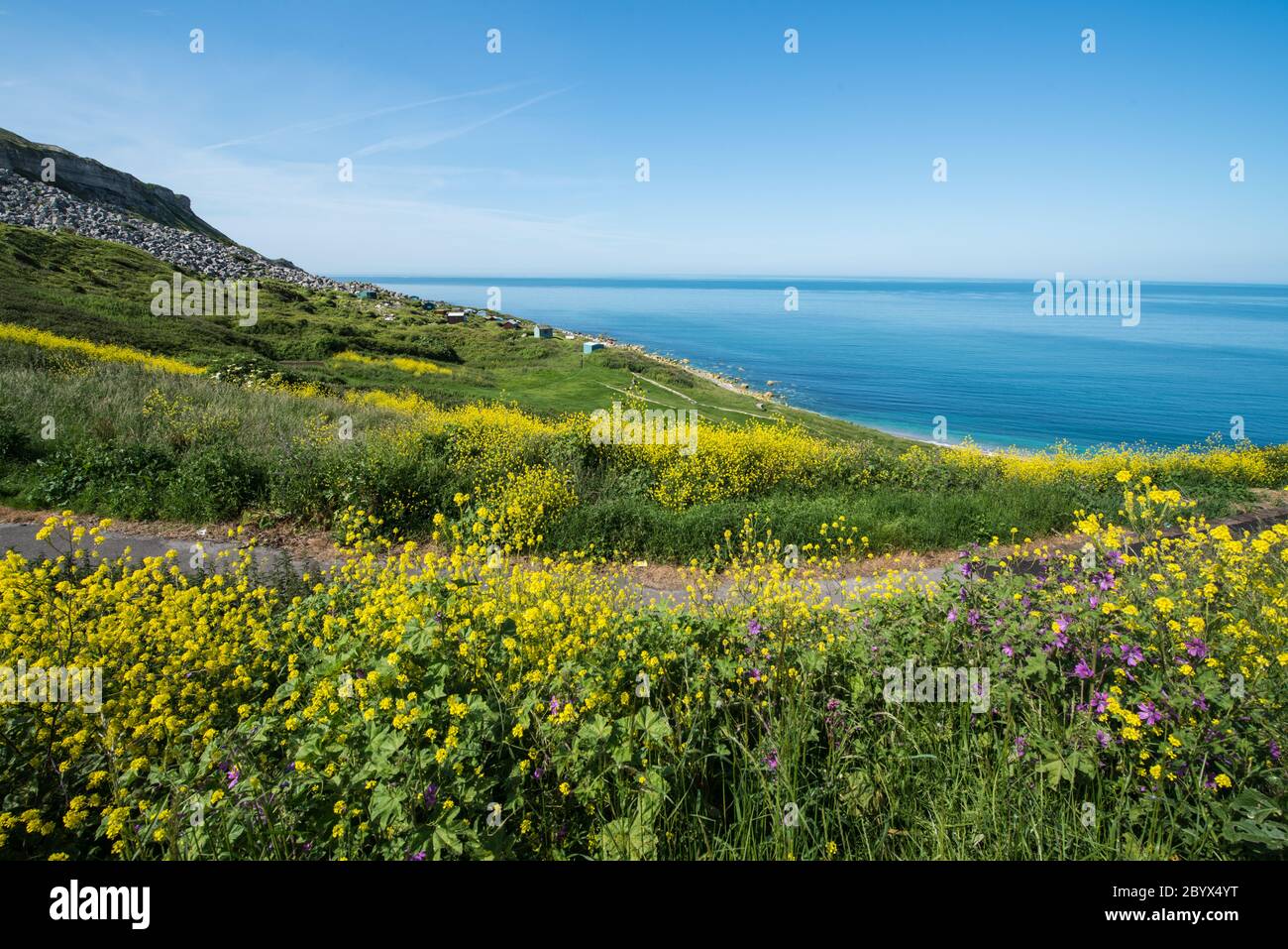Chesil beach sunset hi-res stock photography and images - Alamy